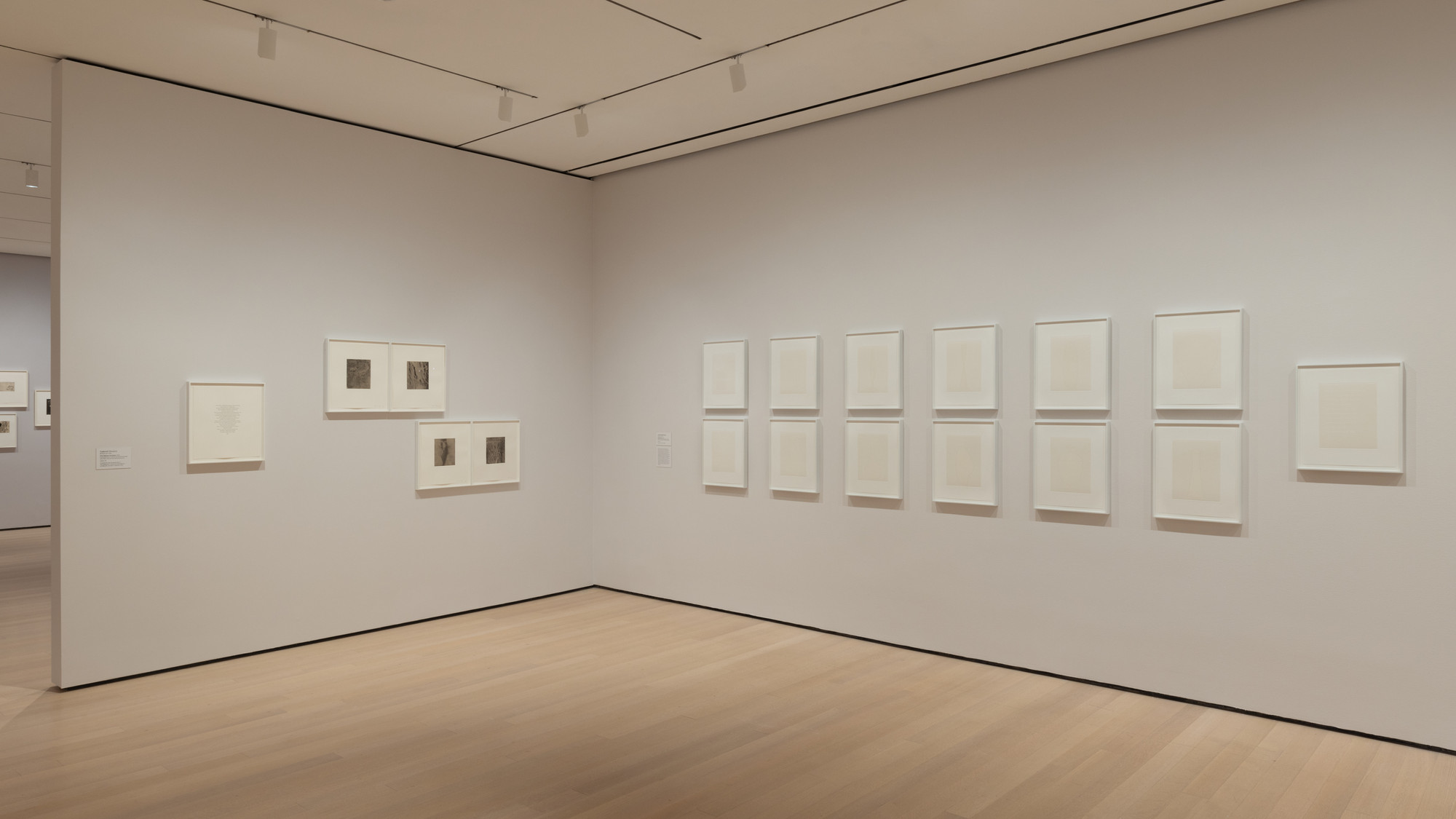 Installation view of the exhibition “New Ground: Jacob Samuel and ...