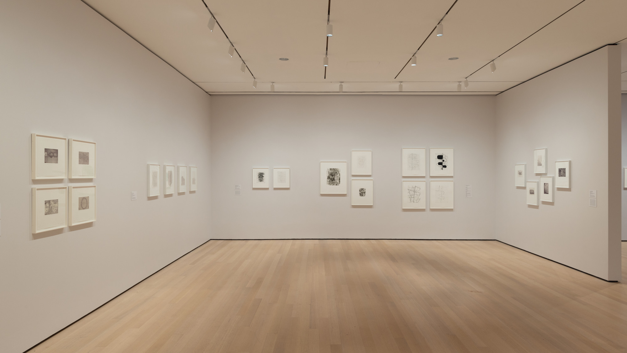 Installation view of the exhibition “New Ground: Jacob Samuel and ...