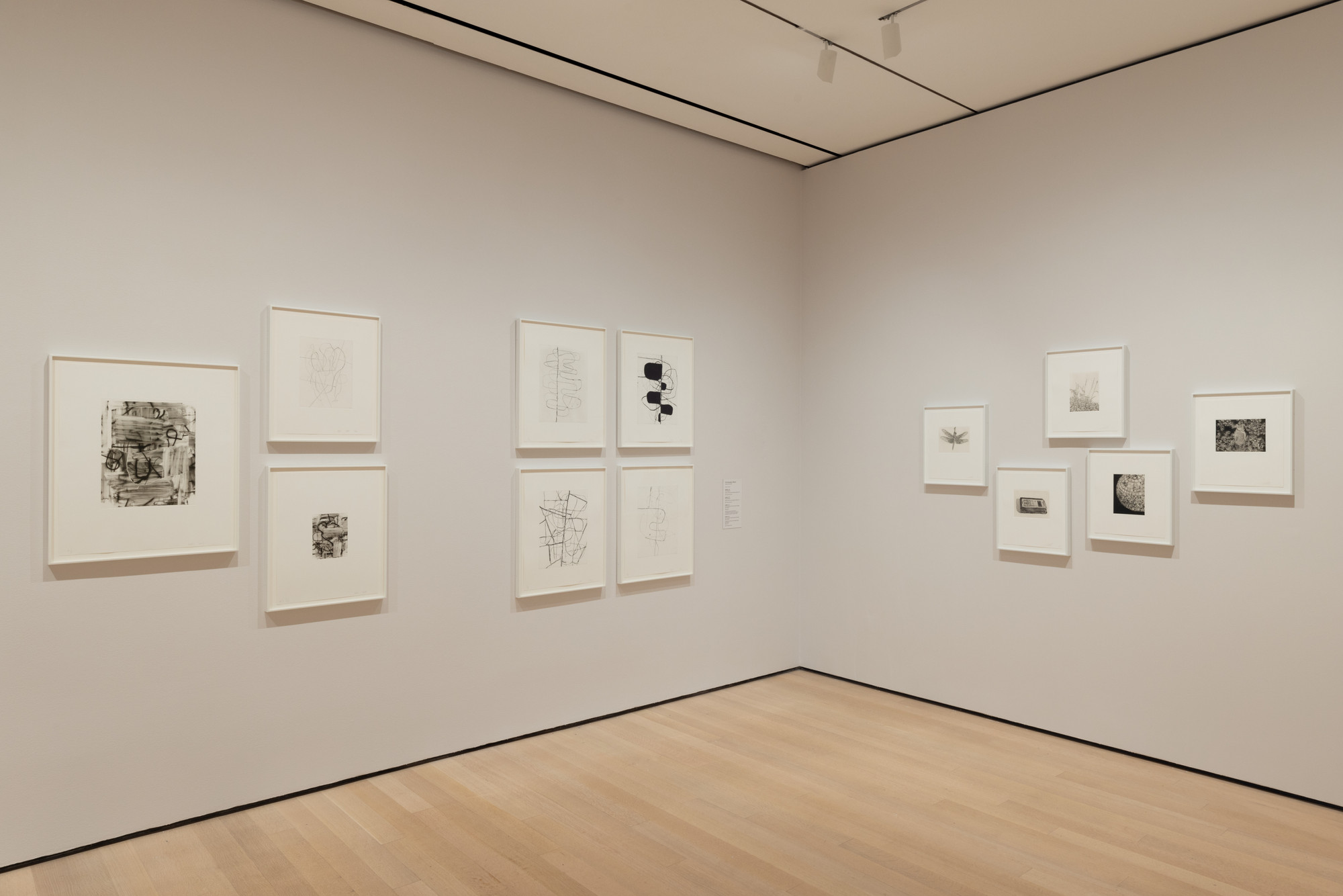 Installation view of the exhibition “New Ground: Jacob Samuel and ...
