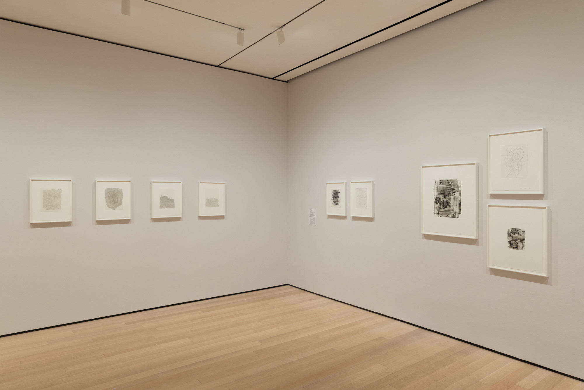 Installation view of the exhibition “New Ground: Jacob Samuel and ...