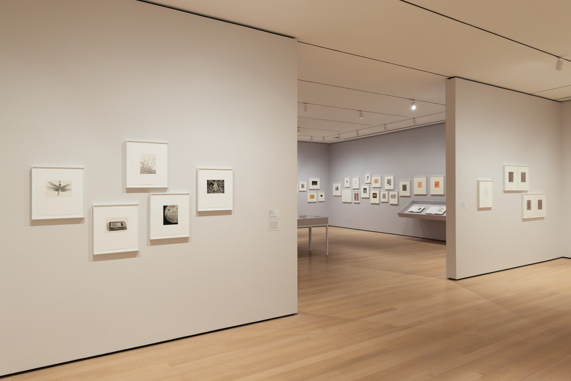 Installation view of the exhibition “New Ground: Jacob Samuel and ...