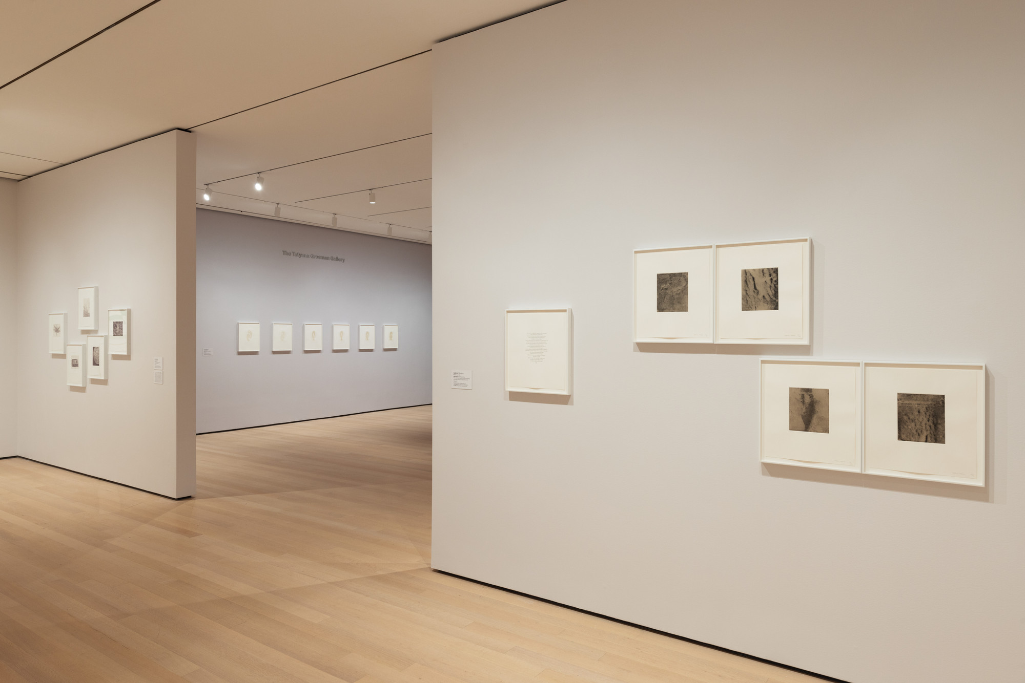 Installation view of the exhibition “New Ground: Jacob Samuel and ...