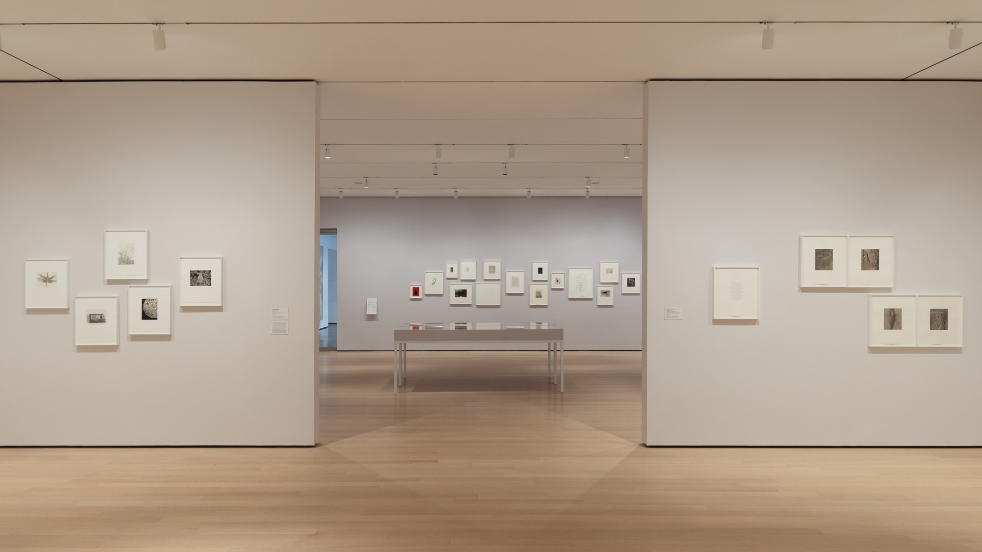 Installation view of the exhibition “New Ground: Jacob Samuel and ...