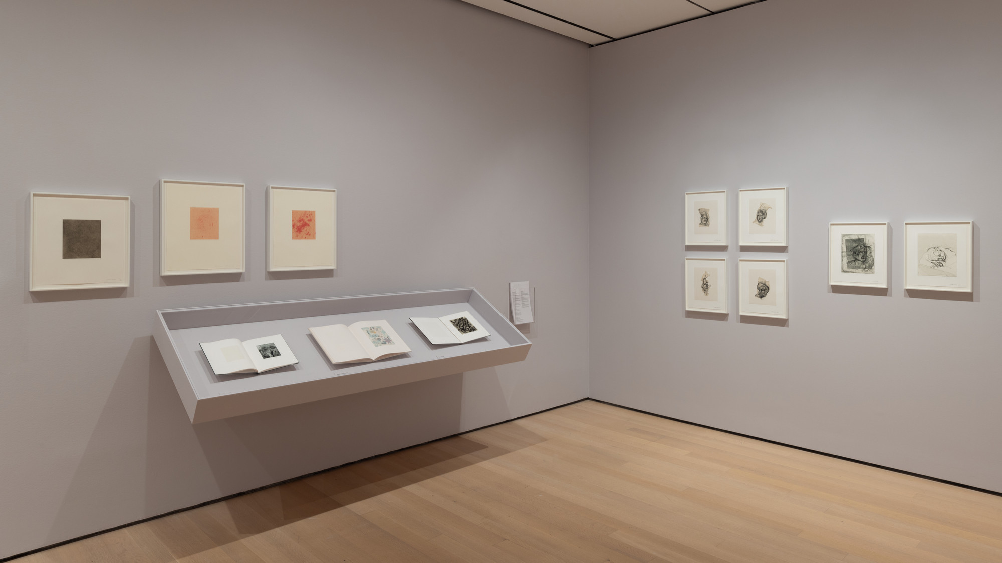 Installation view of the exhibition “New Ground: Jacob Samuel and ...