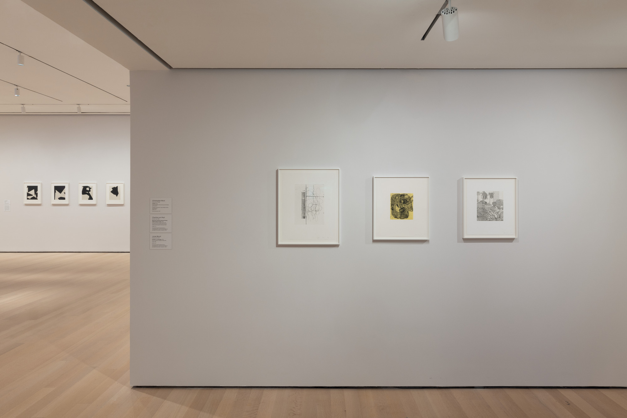 Installation view of the exhibition “New Ground: Jacob Samuel and ...