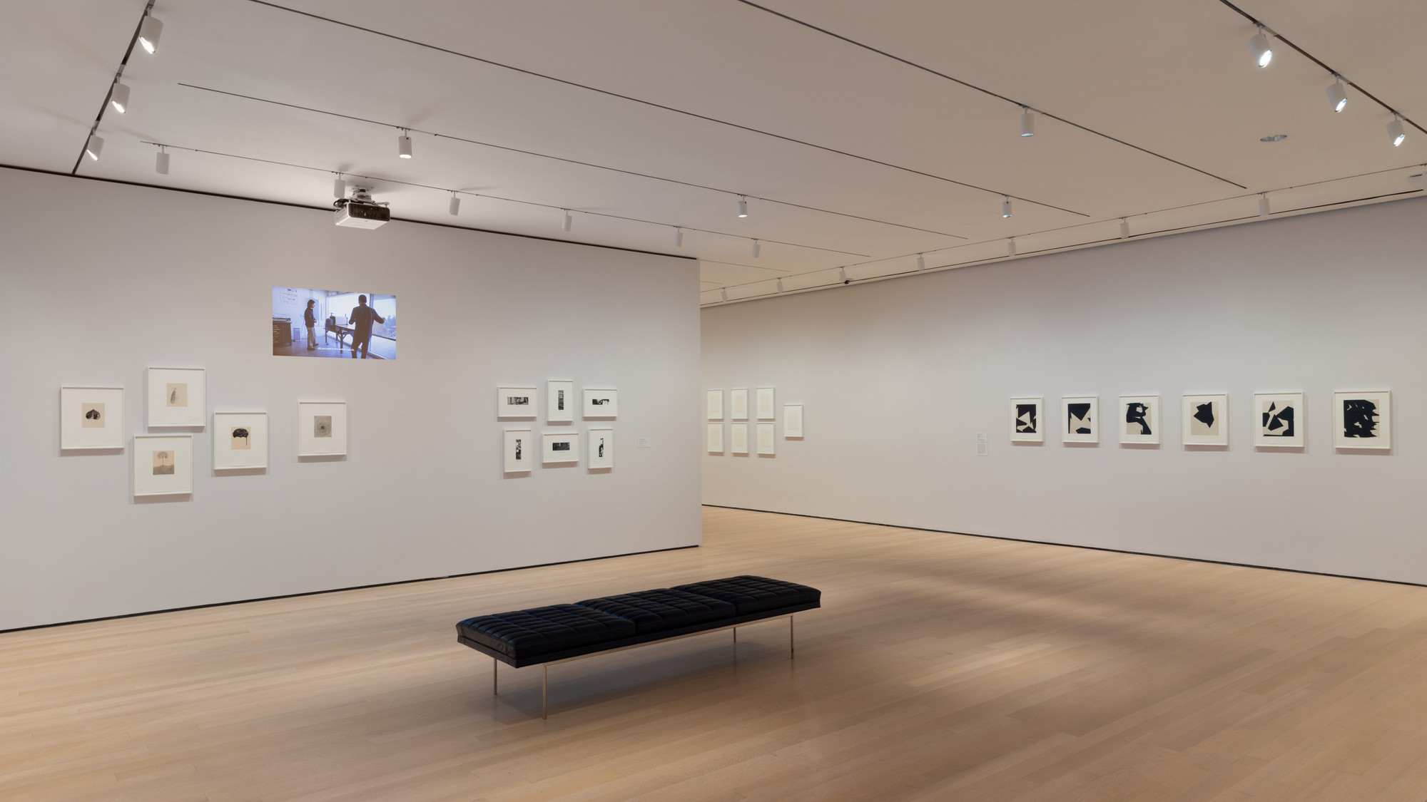 Installation view of the exhibition “New Ground: Jacob Samuel and ...