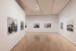 An-My Lê: Between Two Rivers/Giữa hai giòng sông/Entre deux rivières | MoMA