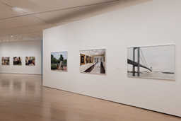 An-My Lê: Between Two Rivers/Giữa hai giòng sông/Entre deux rivières | MoMA