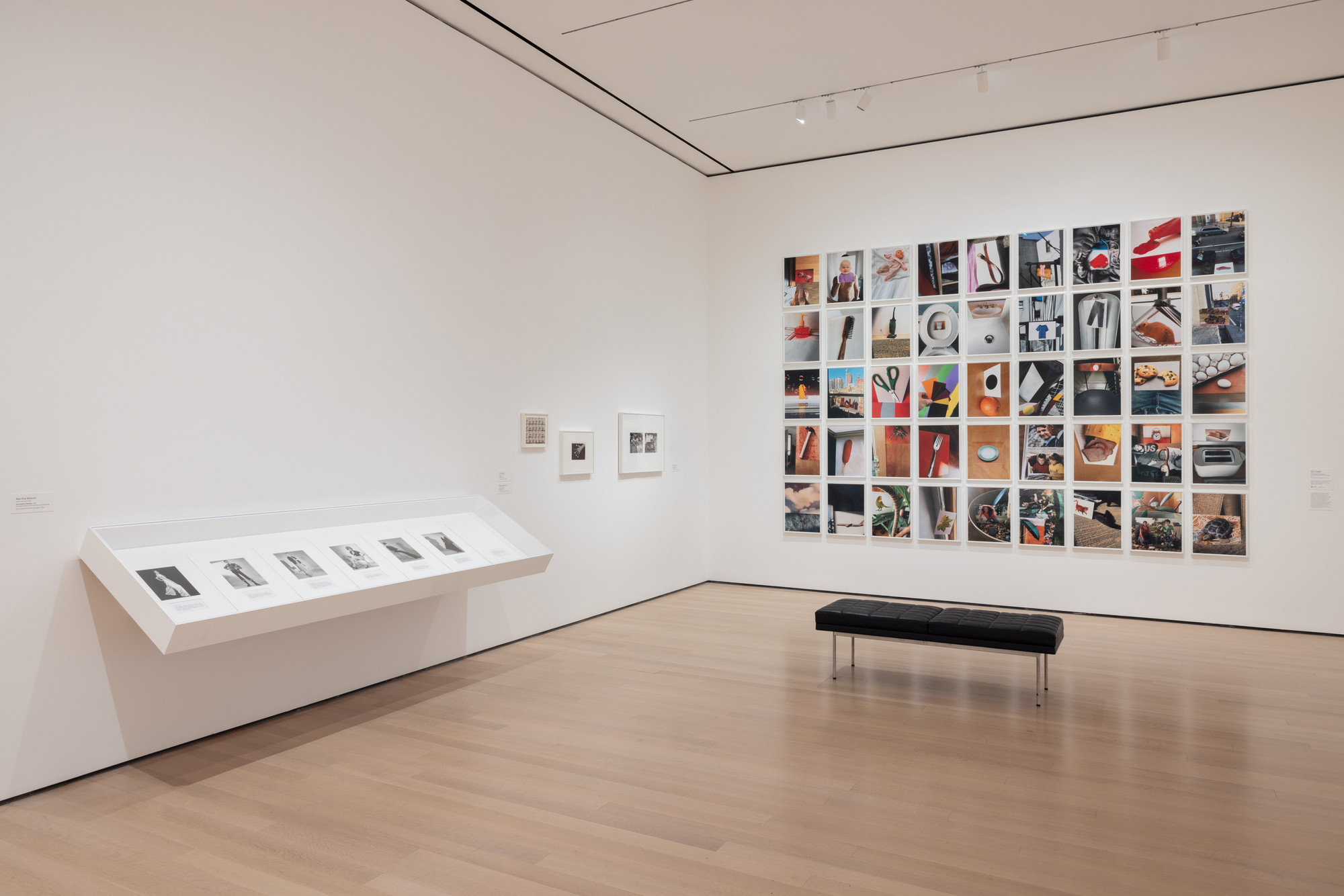 Installation view of the gallery “Photography and Language” in the ...
