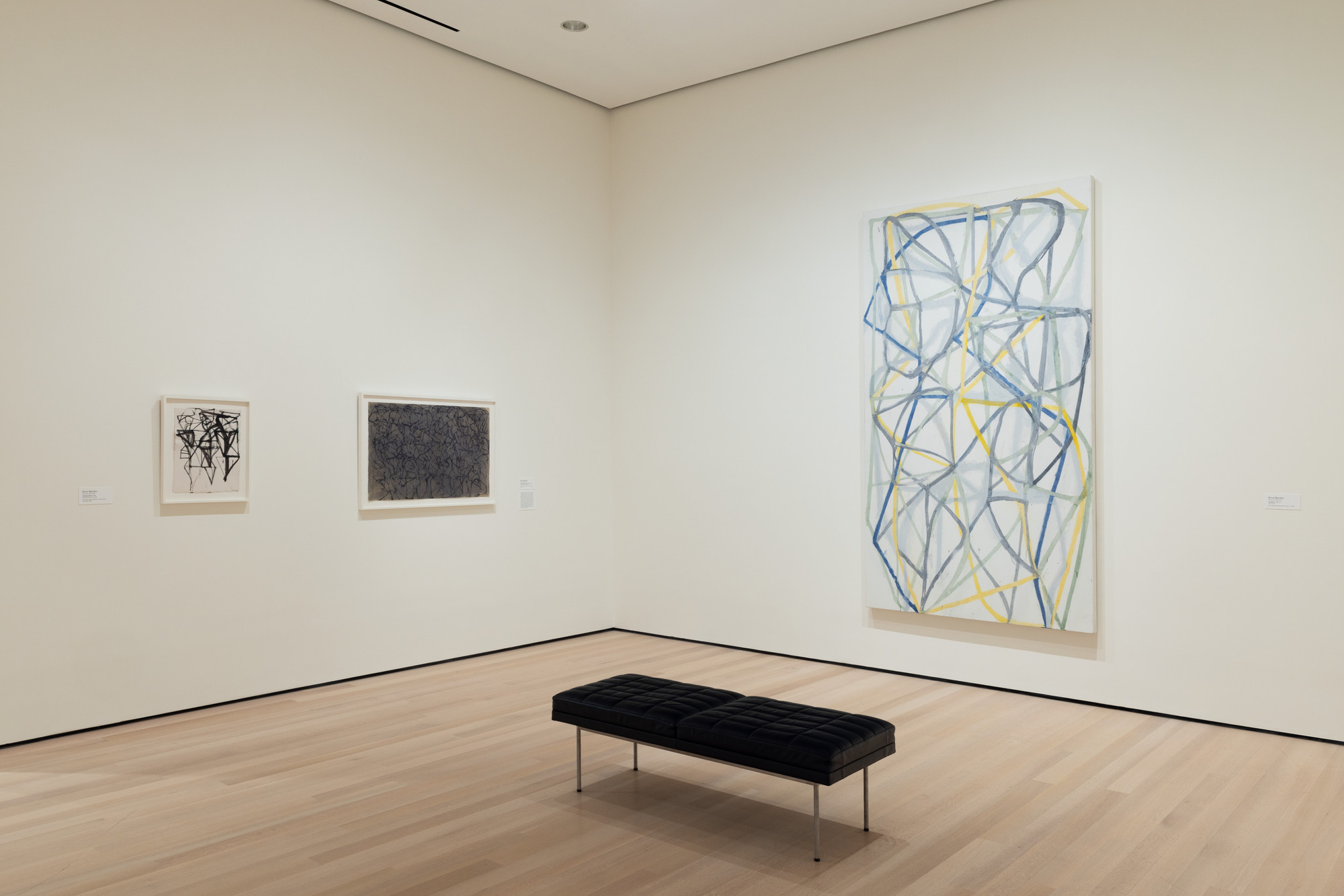 Installation view of the gallery “Brice Marden: The Form of a Plane” in ...