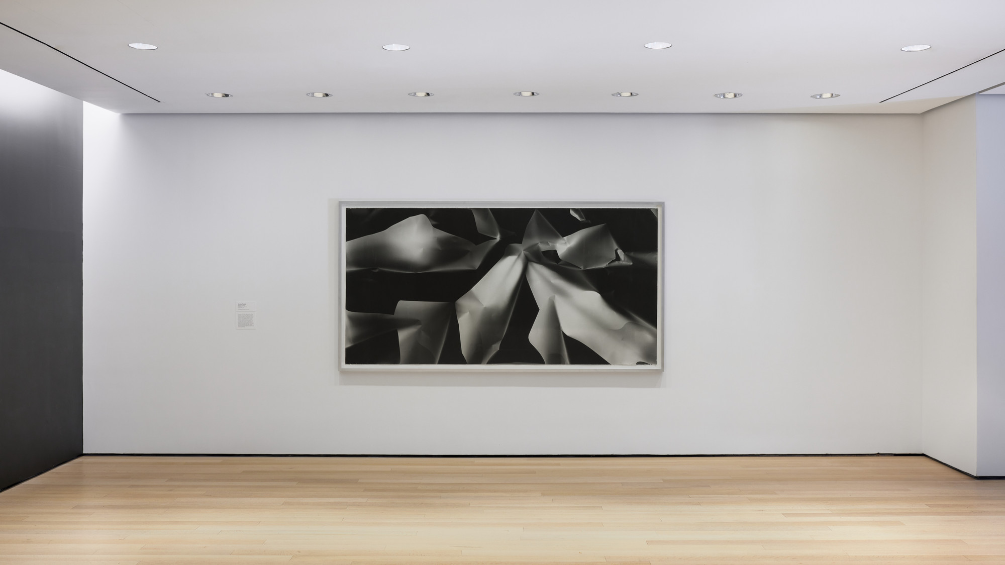 Installation view of the Inbox exhibition "Sheila Pinkel" | MoMA