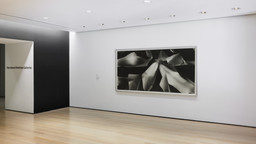 Inbox: Sheila Pinkel | MoMA