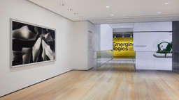 Inbox: Sheila Pinkel | MoMA