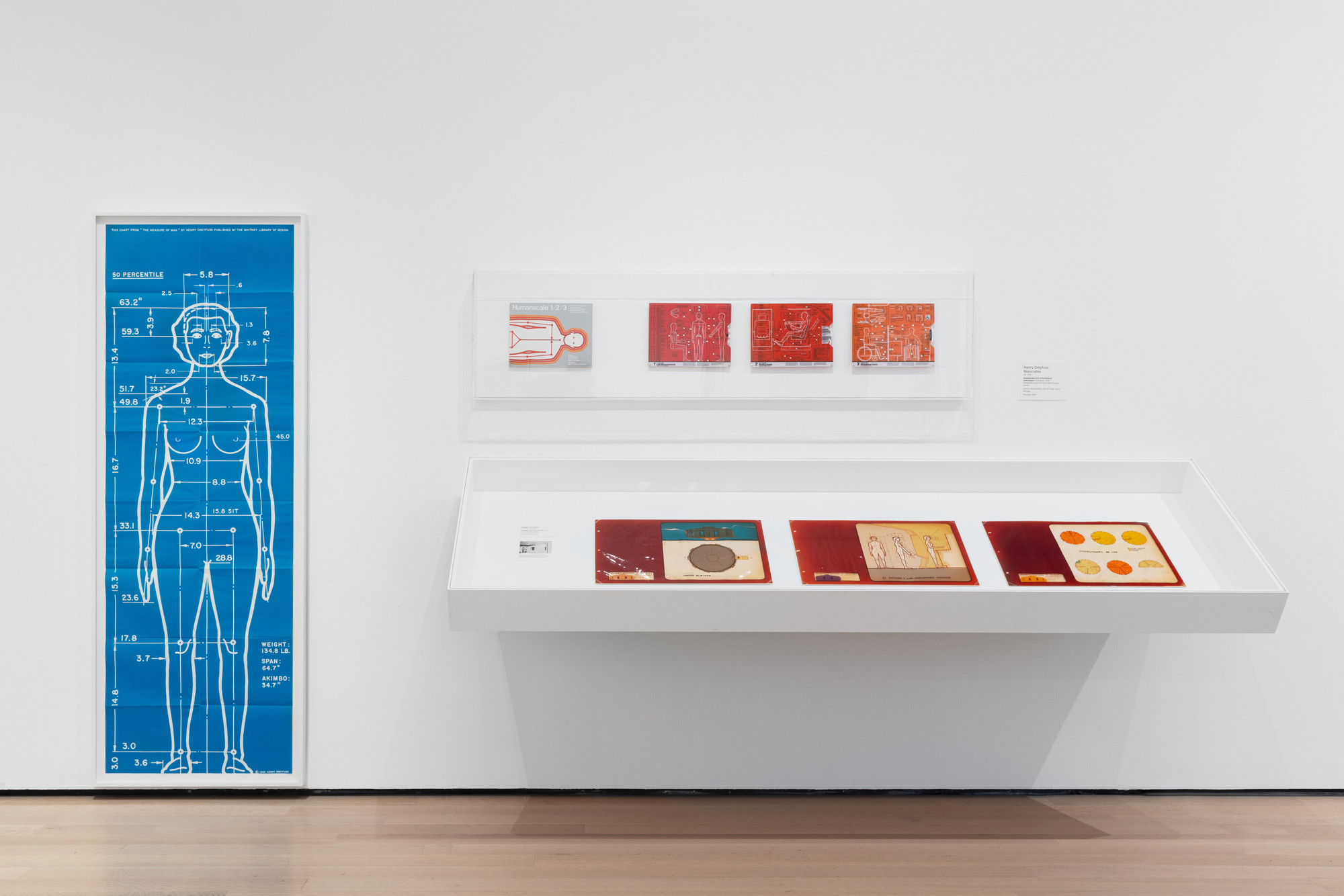 Installation view of the gallery "Body Constructs" in the exhibition ...