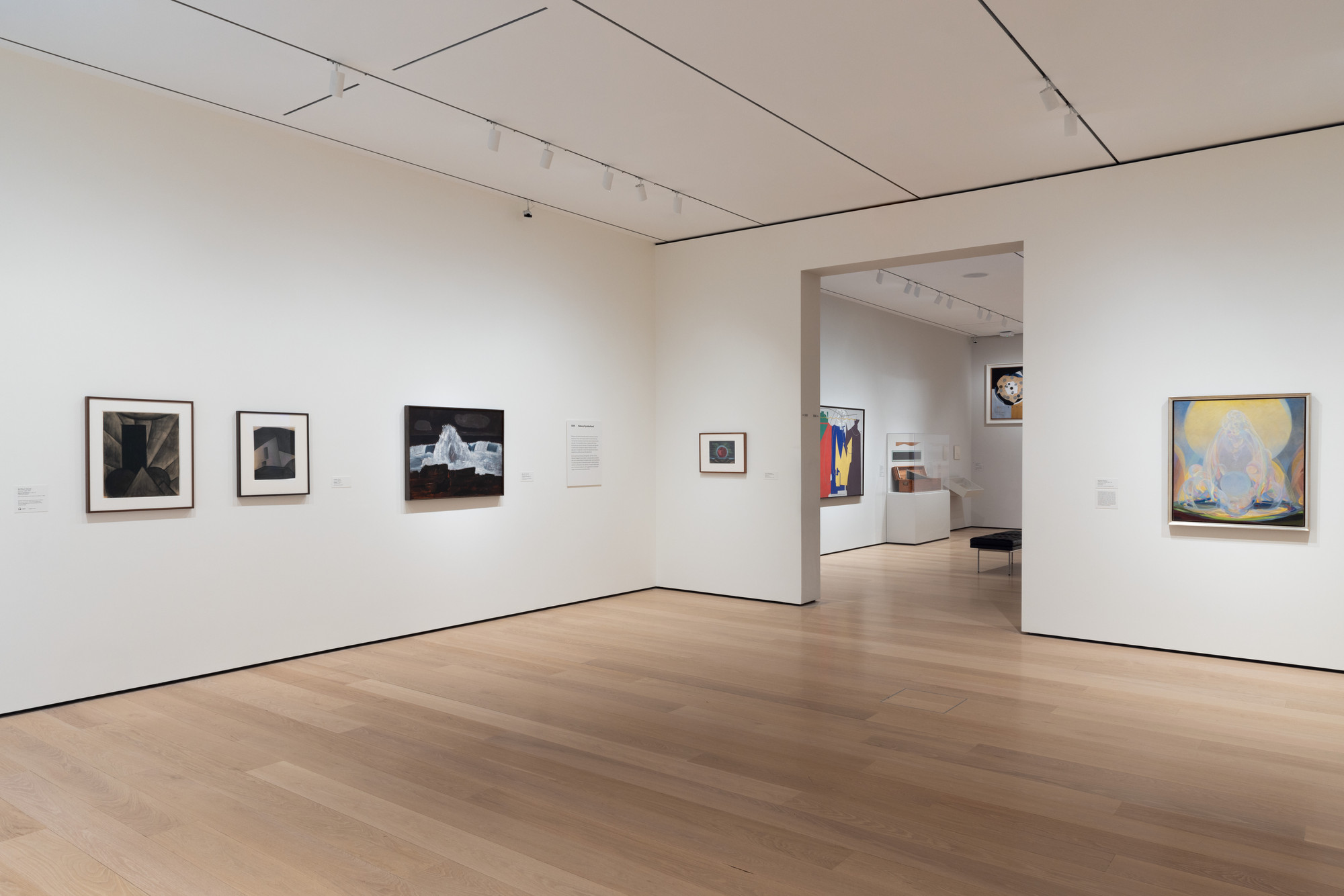 Installation view of the gallery “Nature Symbolized” in the exhibition ...