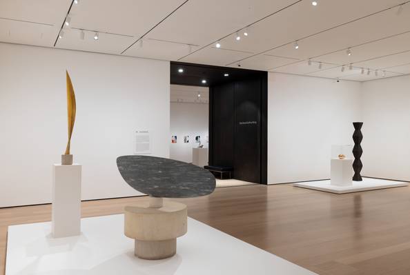 Constantin Brancusi. Fish. Paris 1930 | MoMA