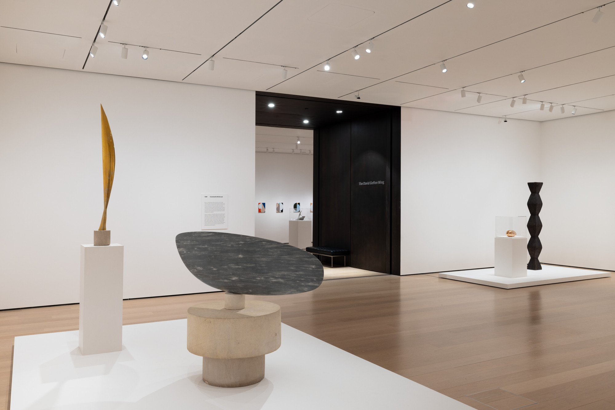 Installation view of the gallery "Brancusi and Abstraction" in the ...