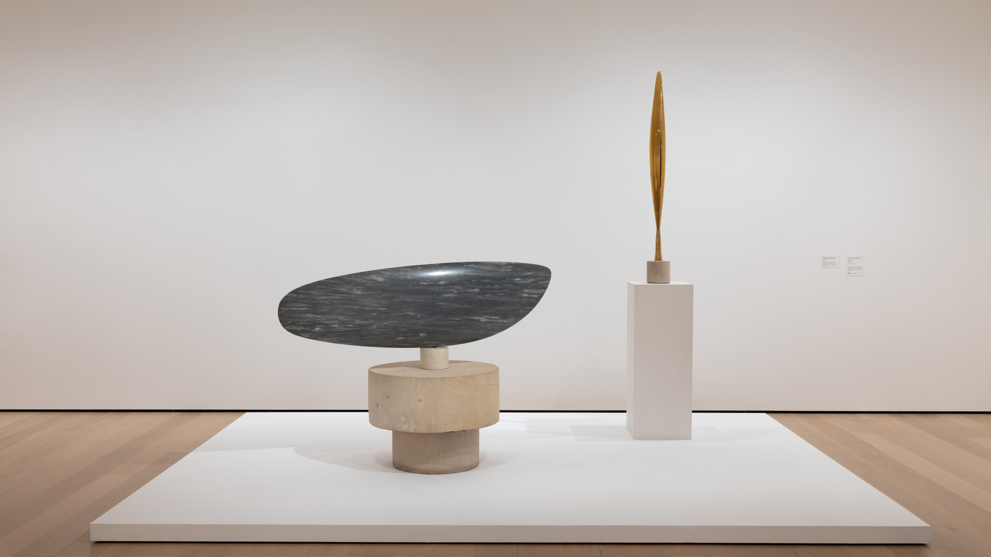 Installation view of the gallery "Brancusi and Abstraction" in the ...