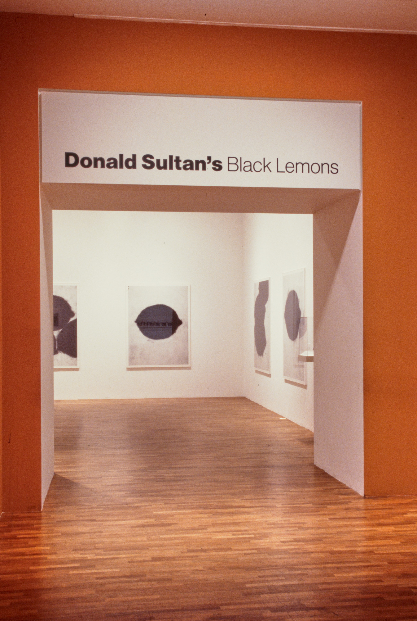 Installation view of the exhibition "Donald Sultan's Black Lemons" | MoMA