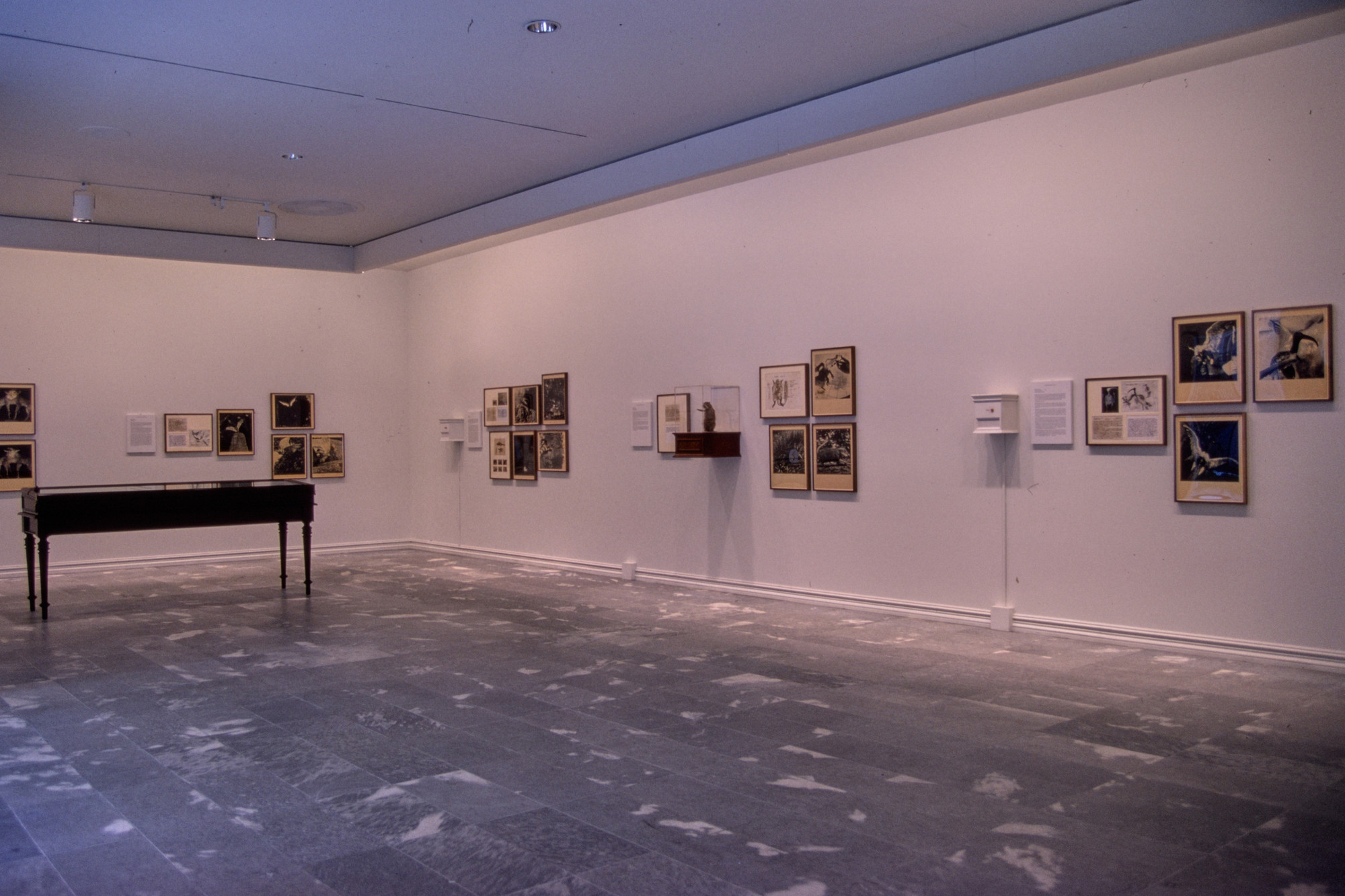 Installation view of the exhibition "Projects 12: Joan Fontcuberta/Pere ...