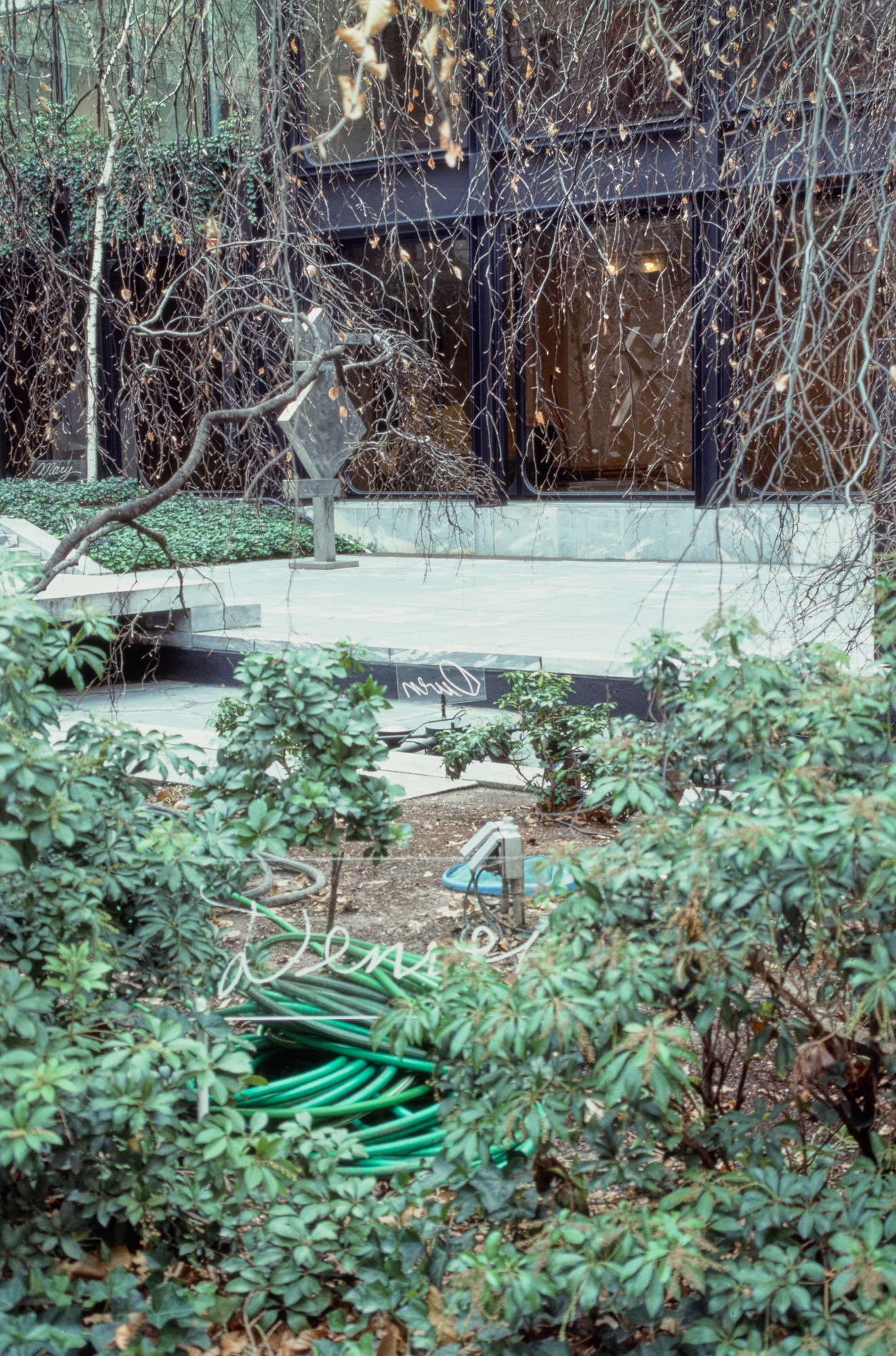 Installation view of the exhibition "Projects 14: Kate Ericson and Mel ...