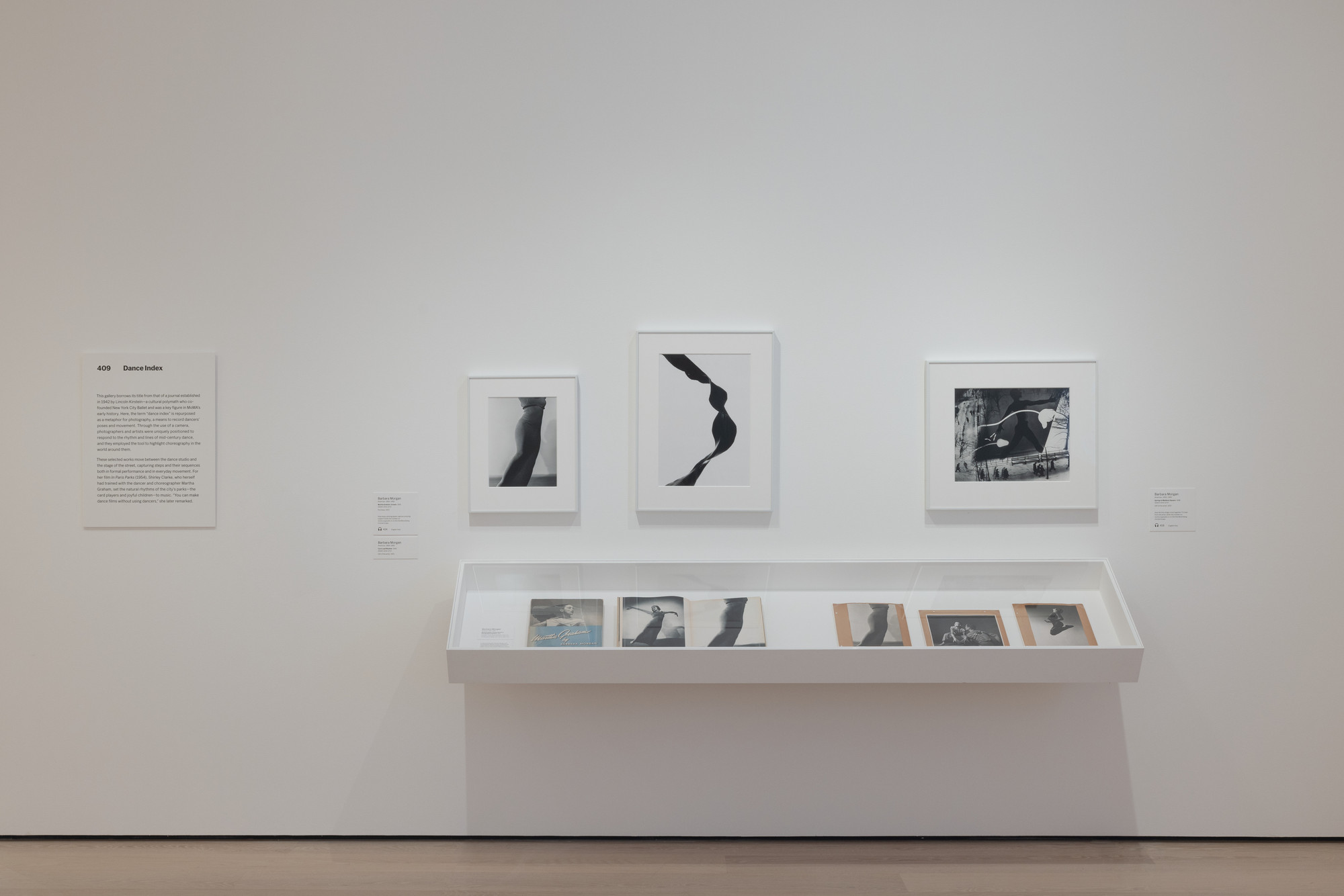 Installation view of the gallery “Dance Index” in the exhibition ...