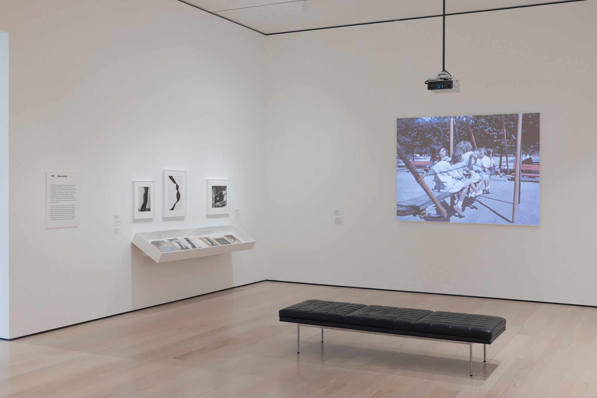 Installation view of the gallery “Dance Index” in the exhibition ...