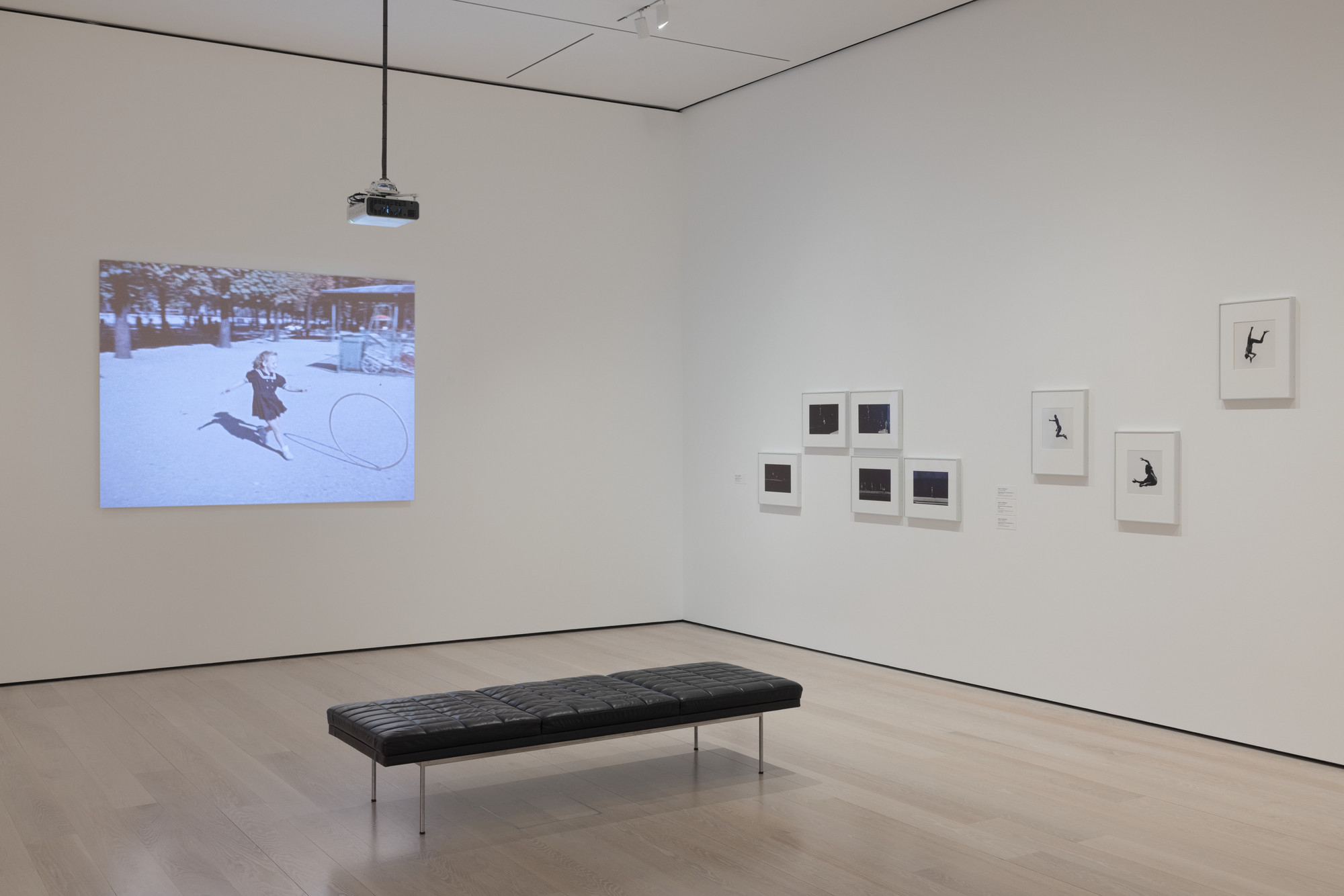 Installation view of the gallery “Dance Index” in the exhibition ...