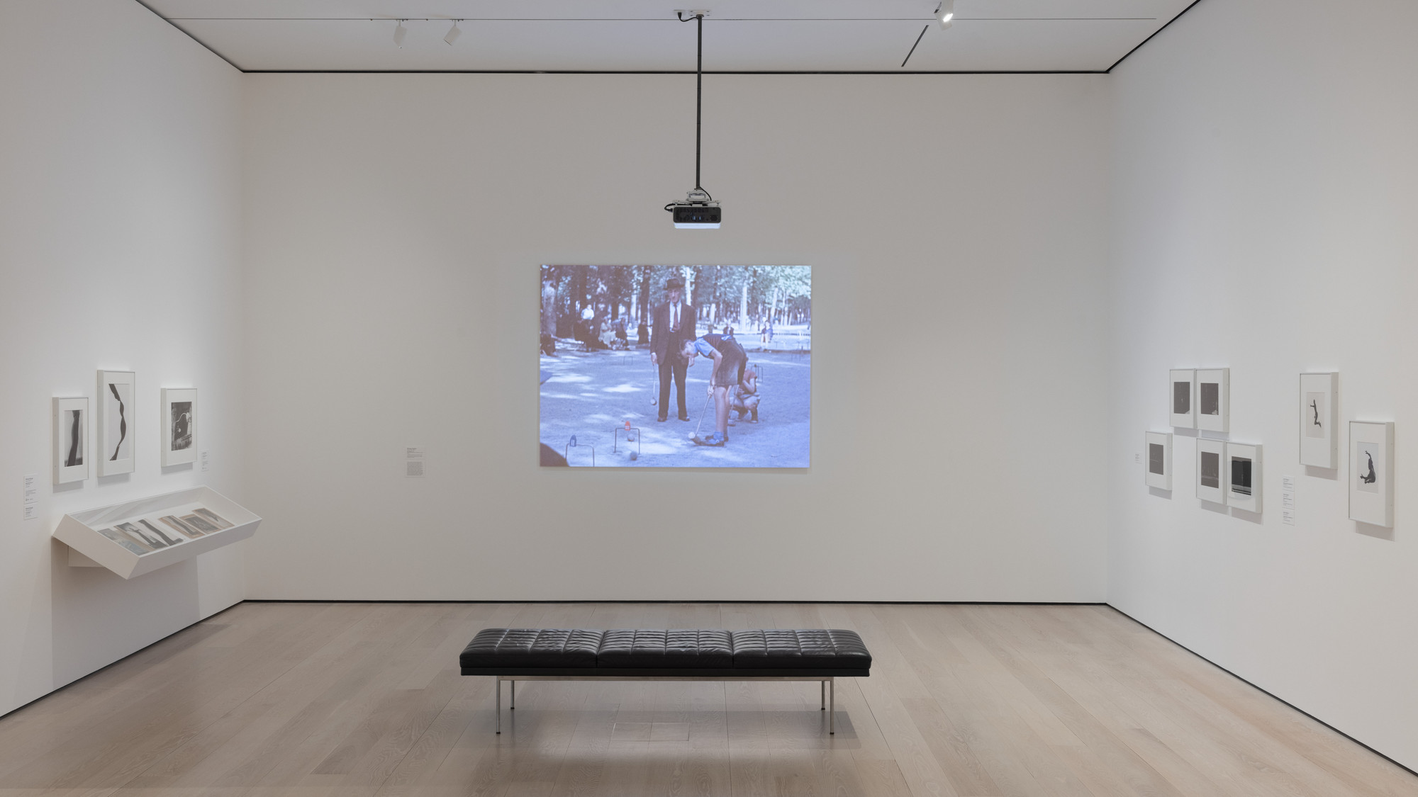 Installation view of the gallery “Dance Index” in the exhibition ...
