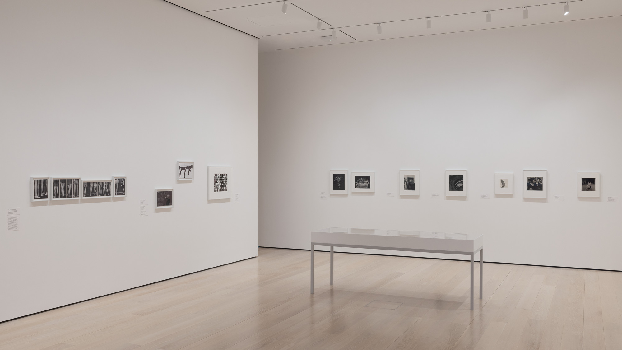 Installation view of the gallery “Dance Index” in the exhibition ...