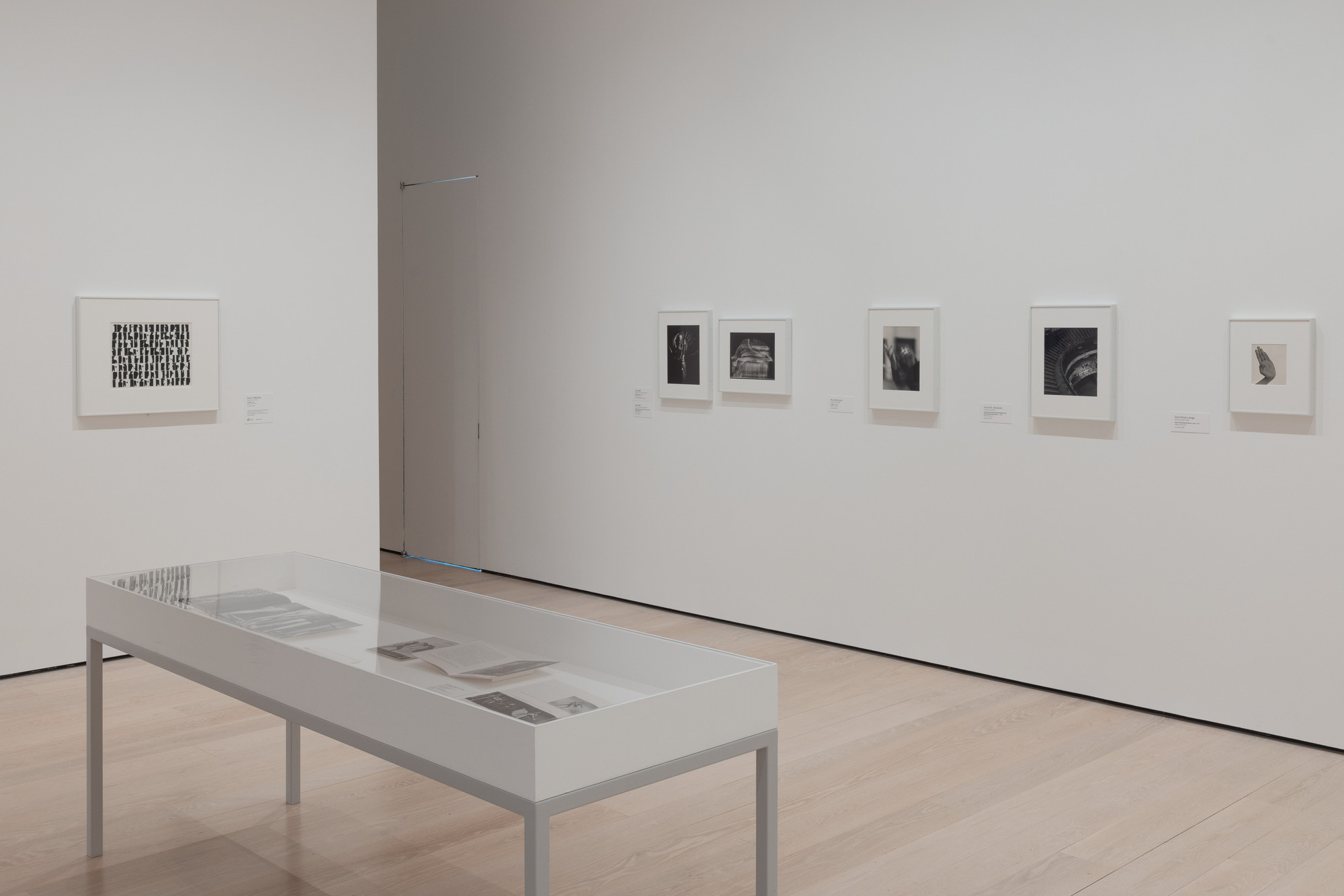 Installation view of the gallery “Dance Index” in the exhibition ...