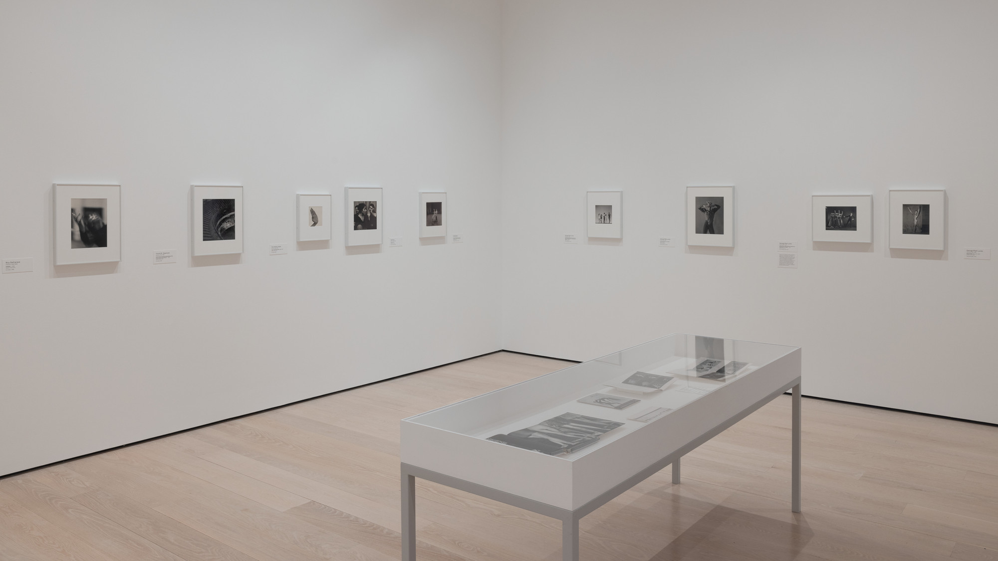 Installation view of the gallery “Dance Index” in the exhibition ...
