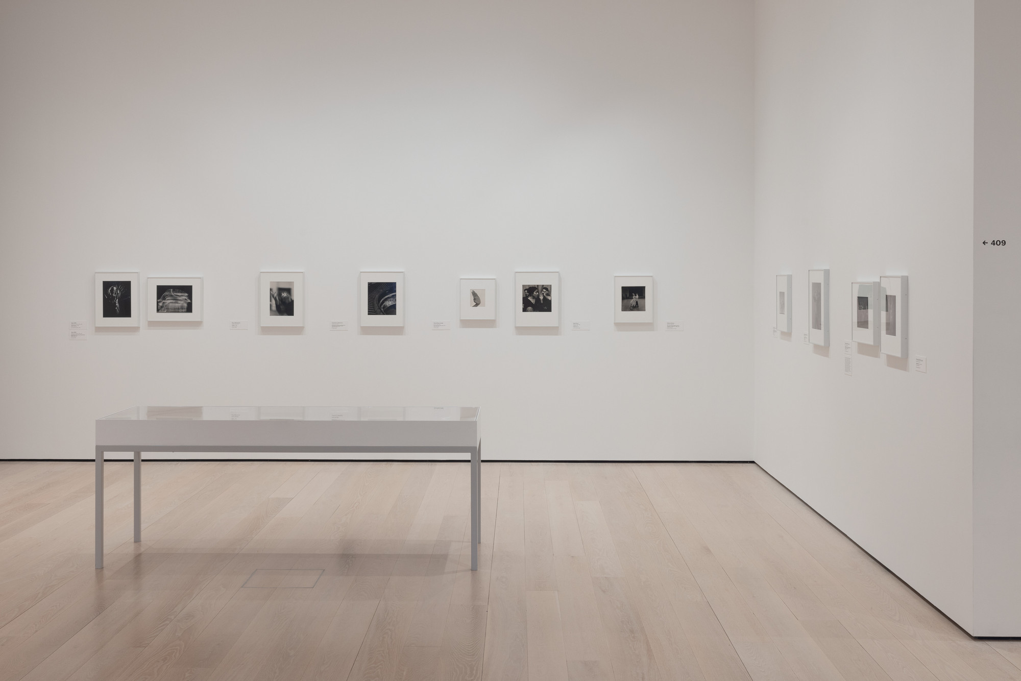Installation view of the gallery “Dance Index” in the exhibition ...