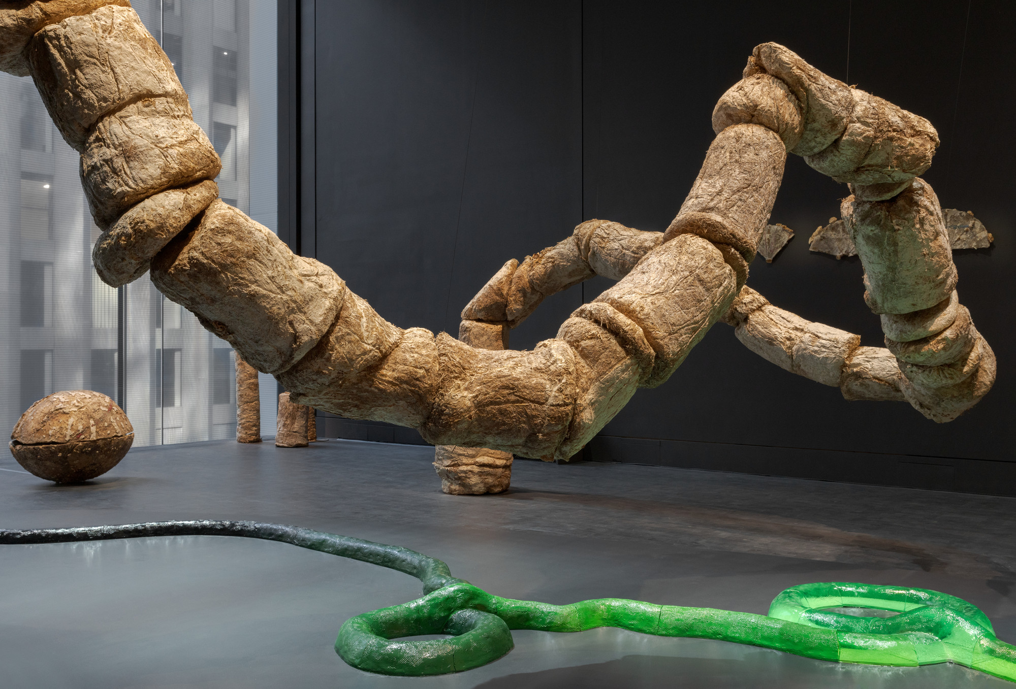 Installation view of the exhibition “Nour Mobarak: Dafne Phono" | MoMA