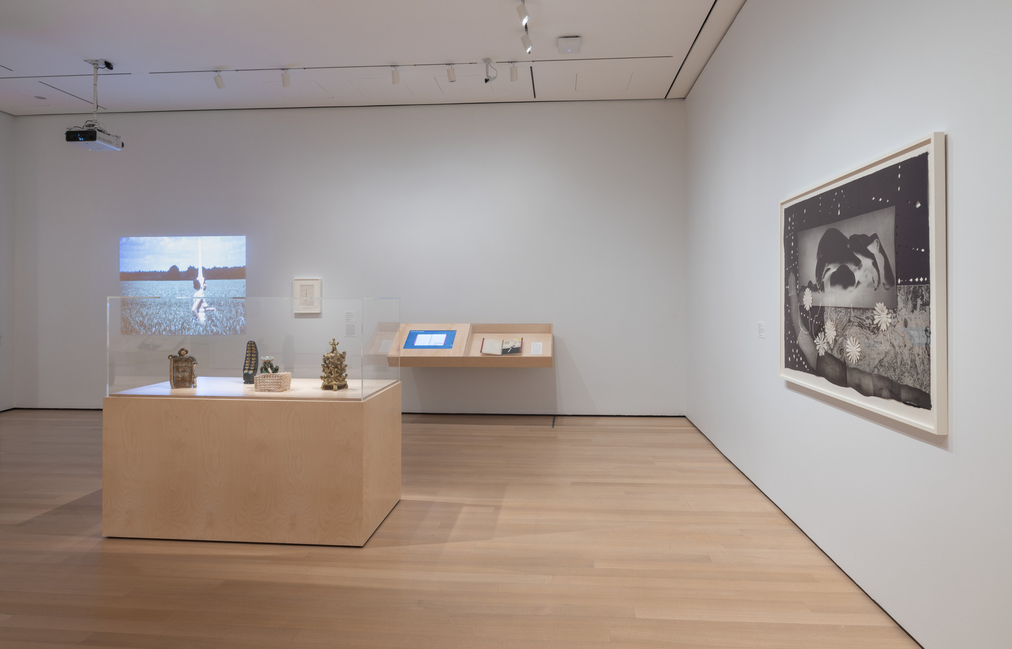 Installation view of the exhibition “Vital Signs: Artists and the Body ...