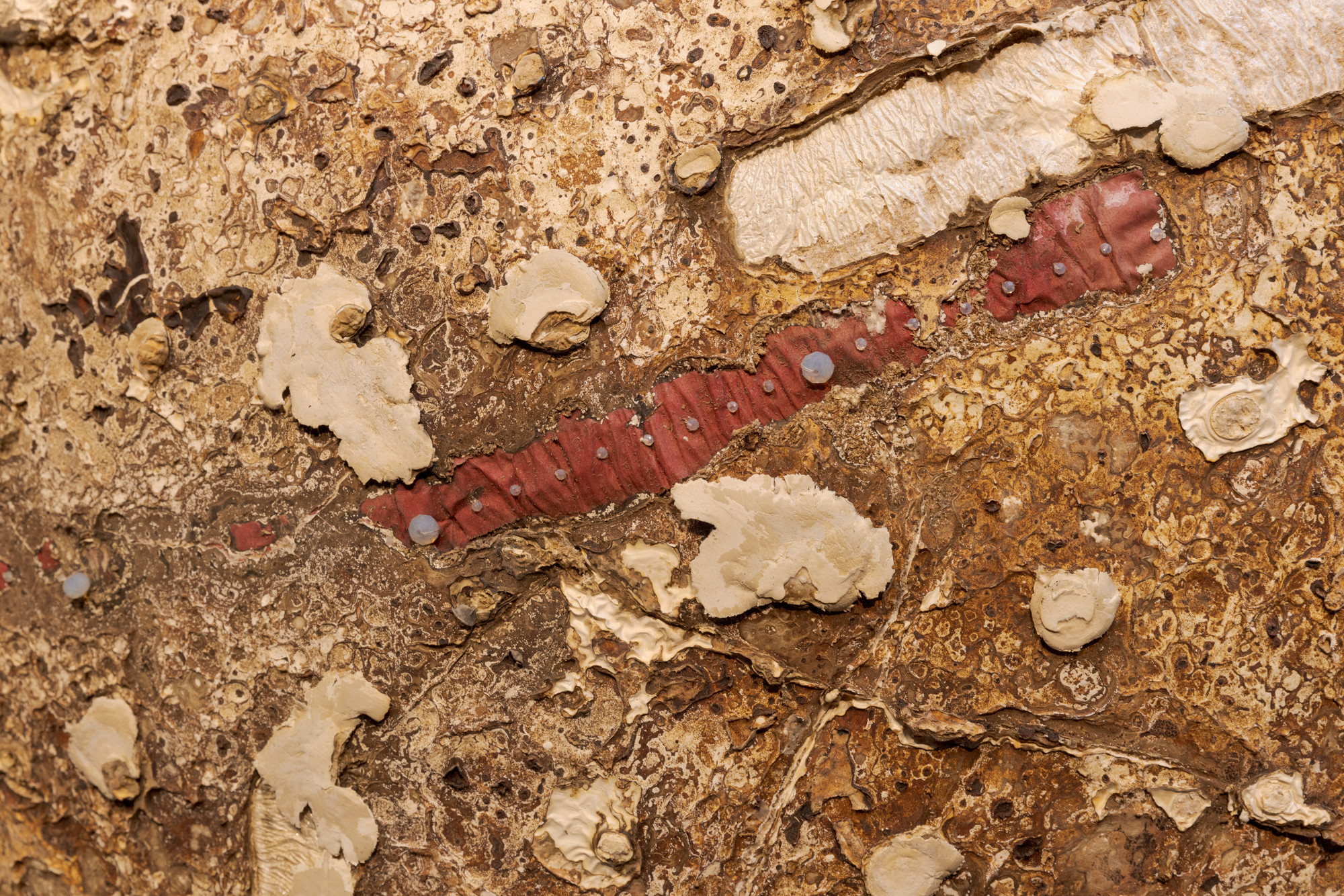 Installation view of Apollo in the exhibition “Nour Mobarak: Dafne ...