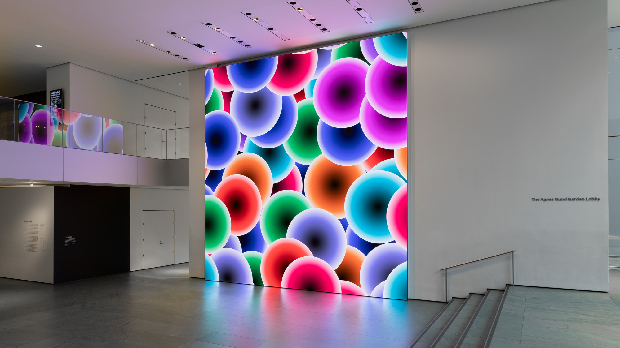 Installation view of the exhibition “Light: Rafaël Rozendaal" | MoMA