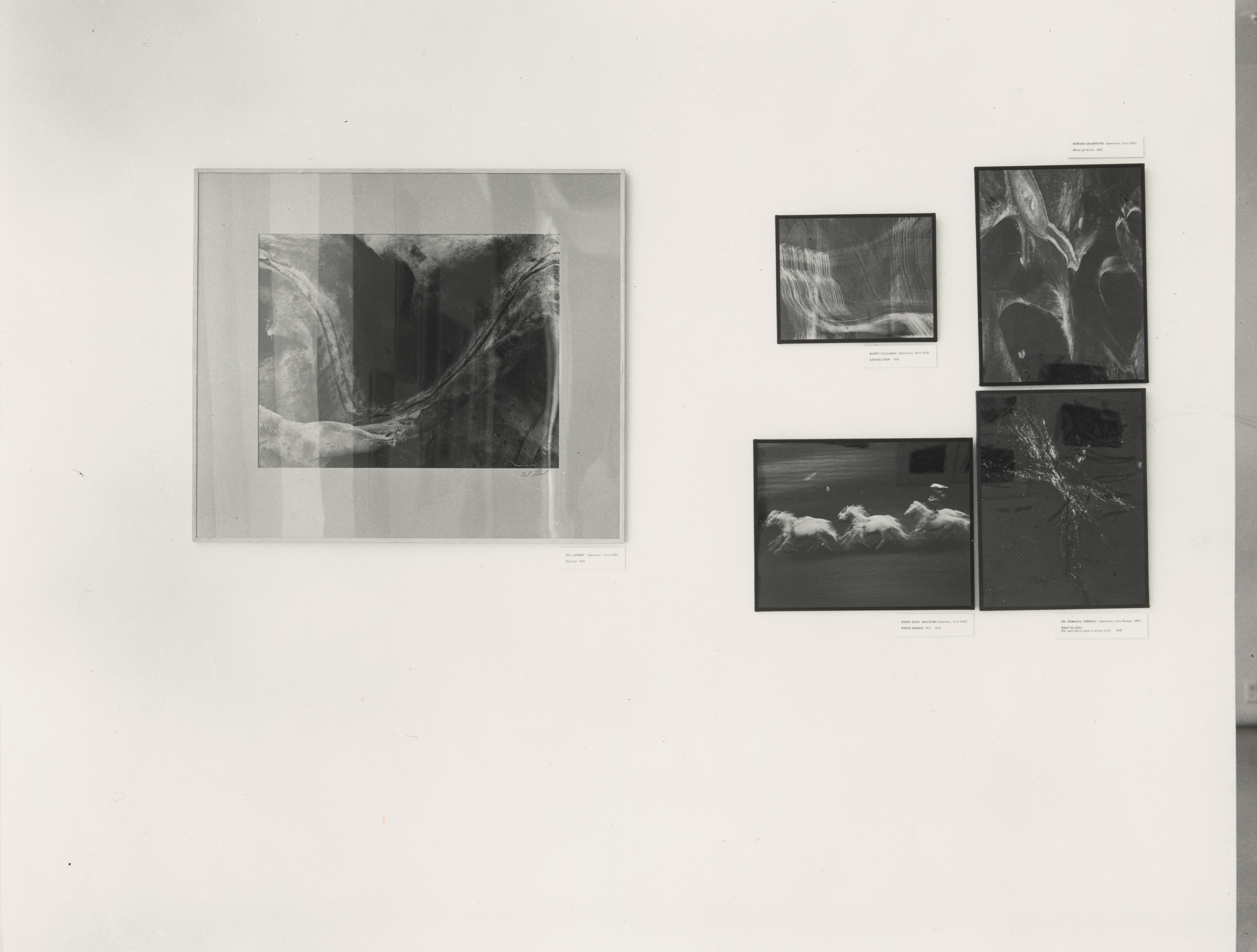 Installation view of the exhibition "50 Photographs by 50 Photographers ...