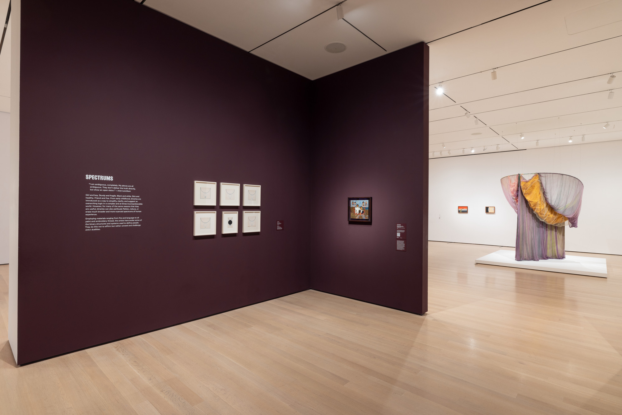 Installation view of the exhibition “Vital Signs: Artists and the Body ...