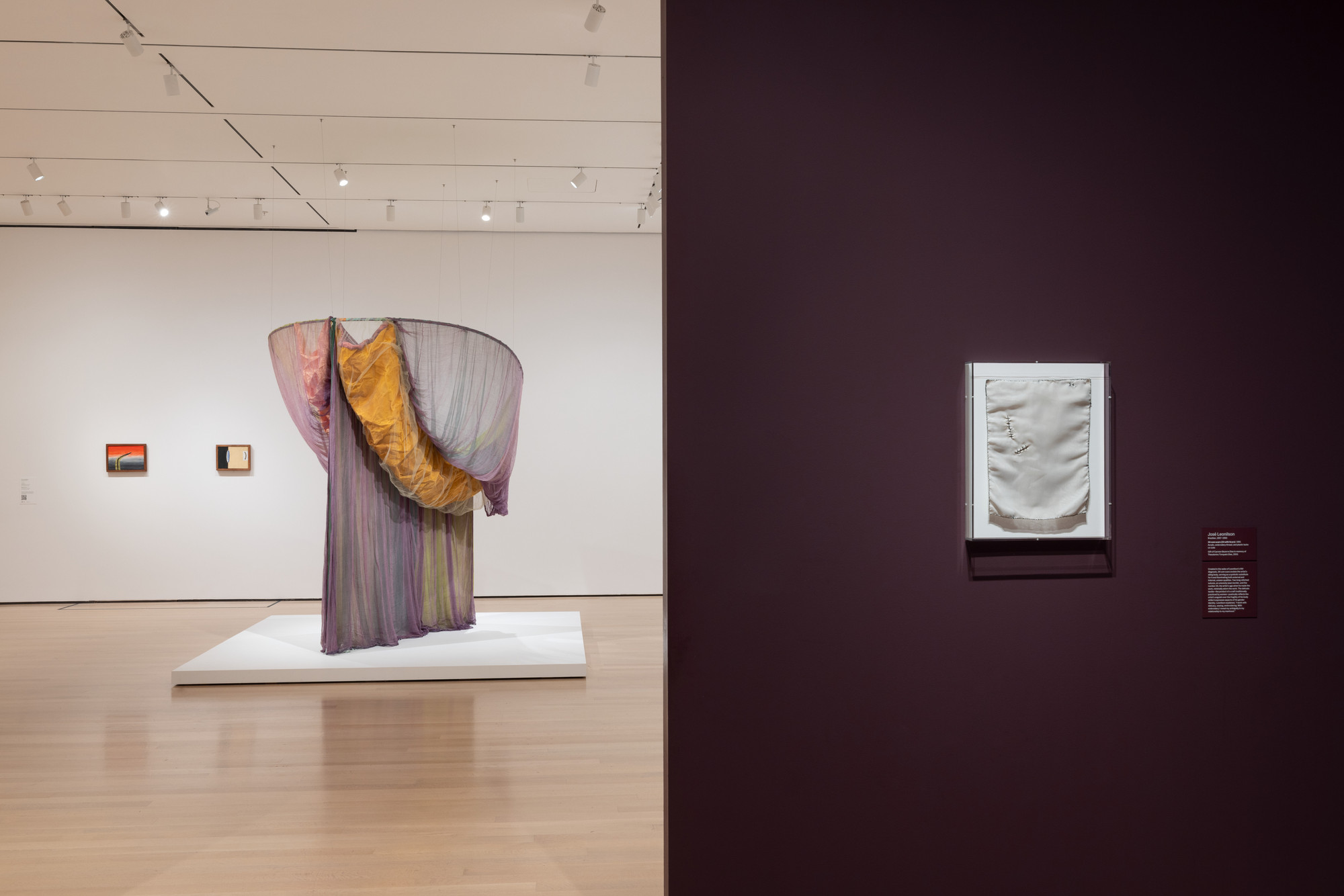 Installation view of the exhibition “Vital Signs: Artists and the Body ...