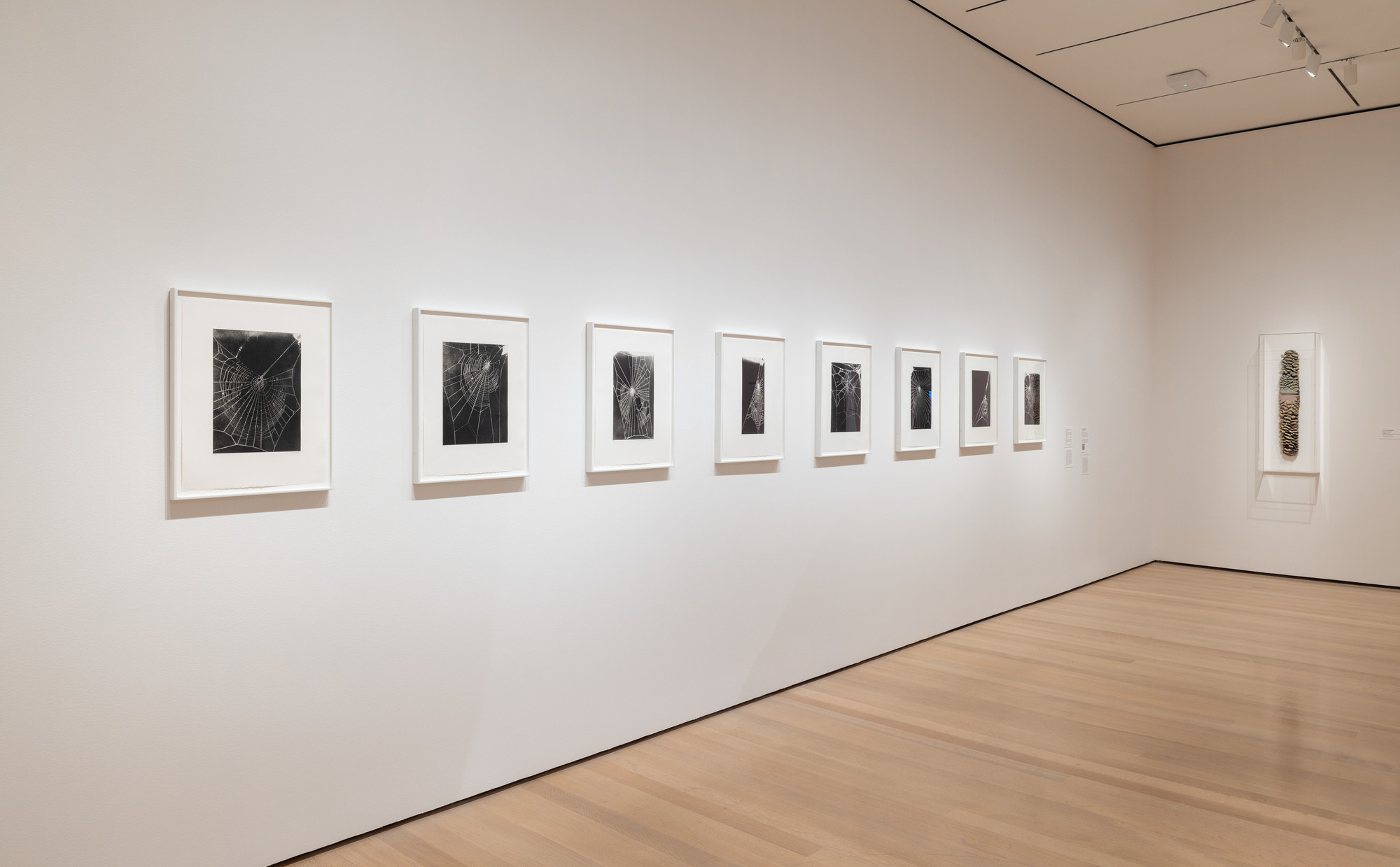 Installation view of the exhibition “Vital Signs: Artists and the Body ...