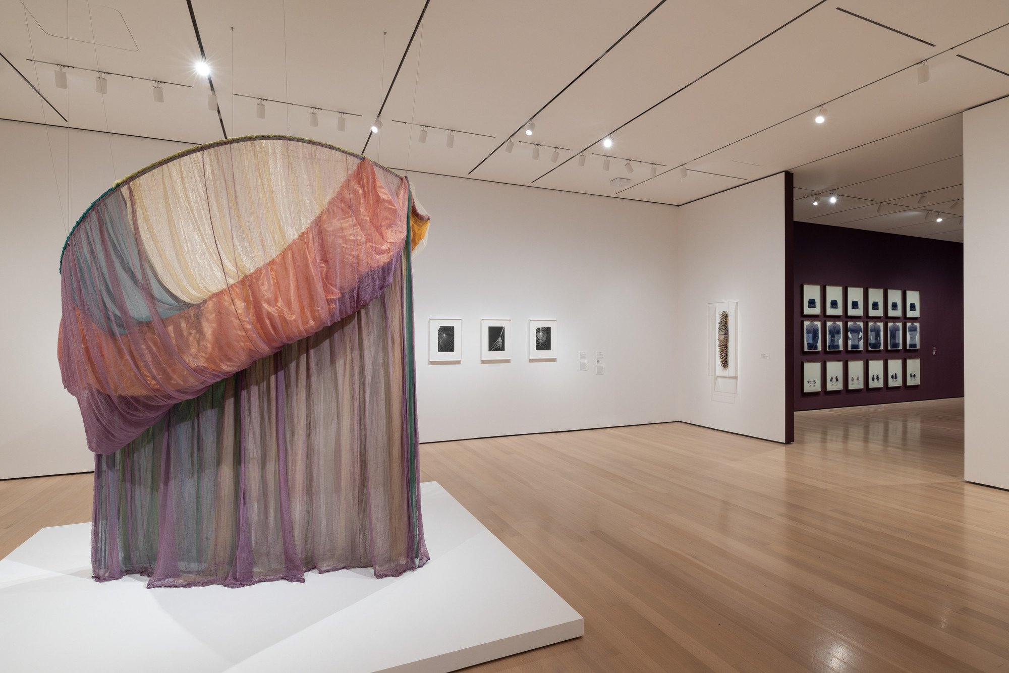 Installation view of the exhibition “Vital Signs: Artists and the Body ...