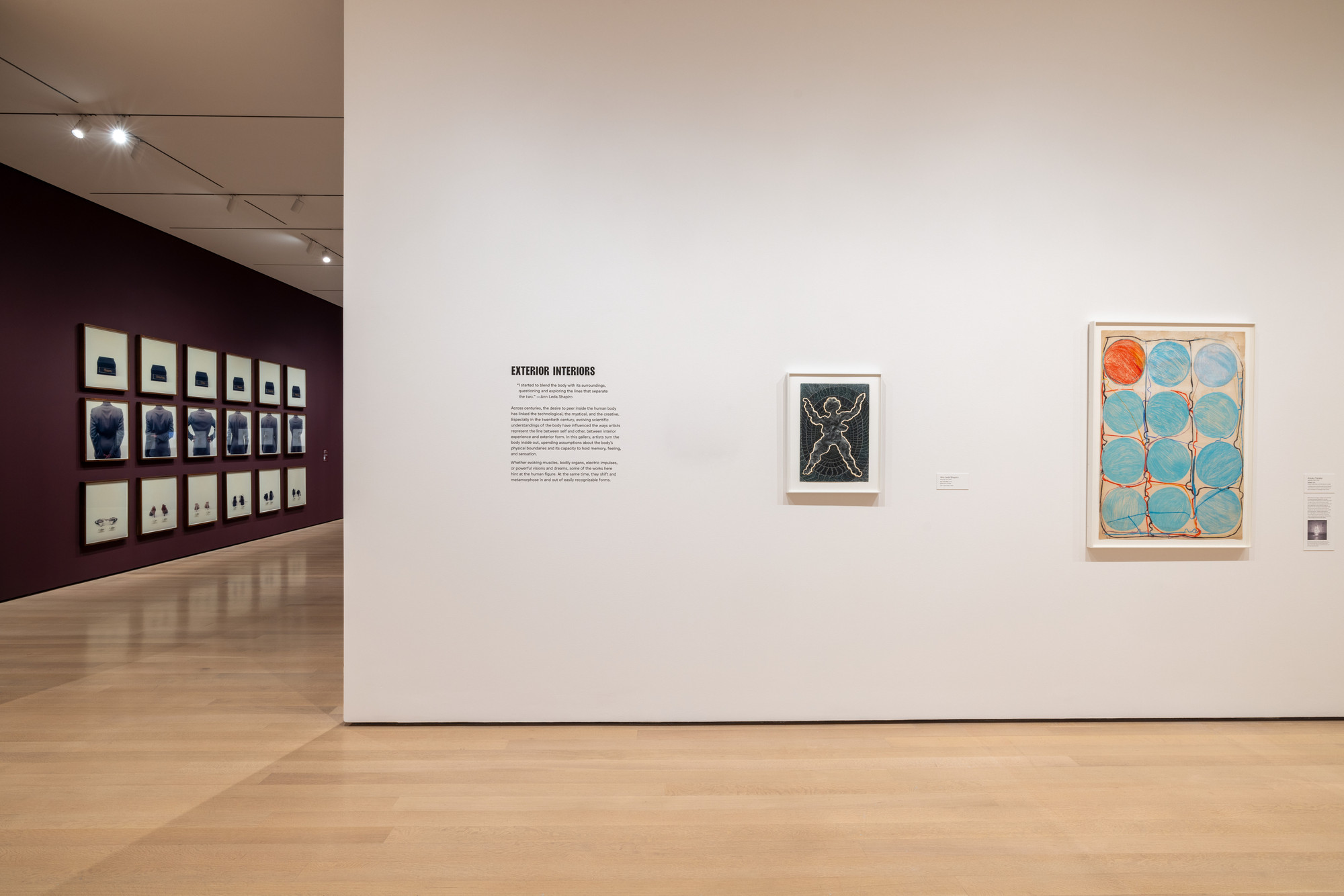Installation view of the exhibition “Vital Signs: Artists and the Body ...