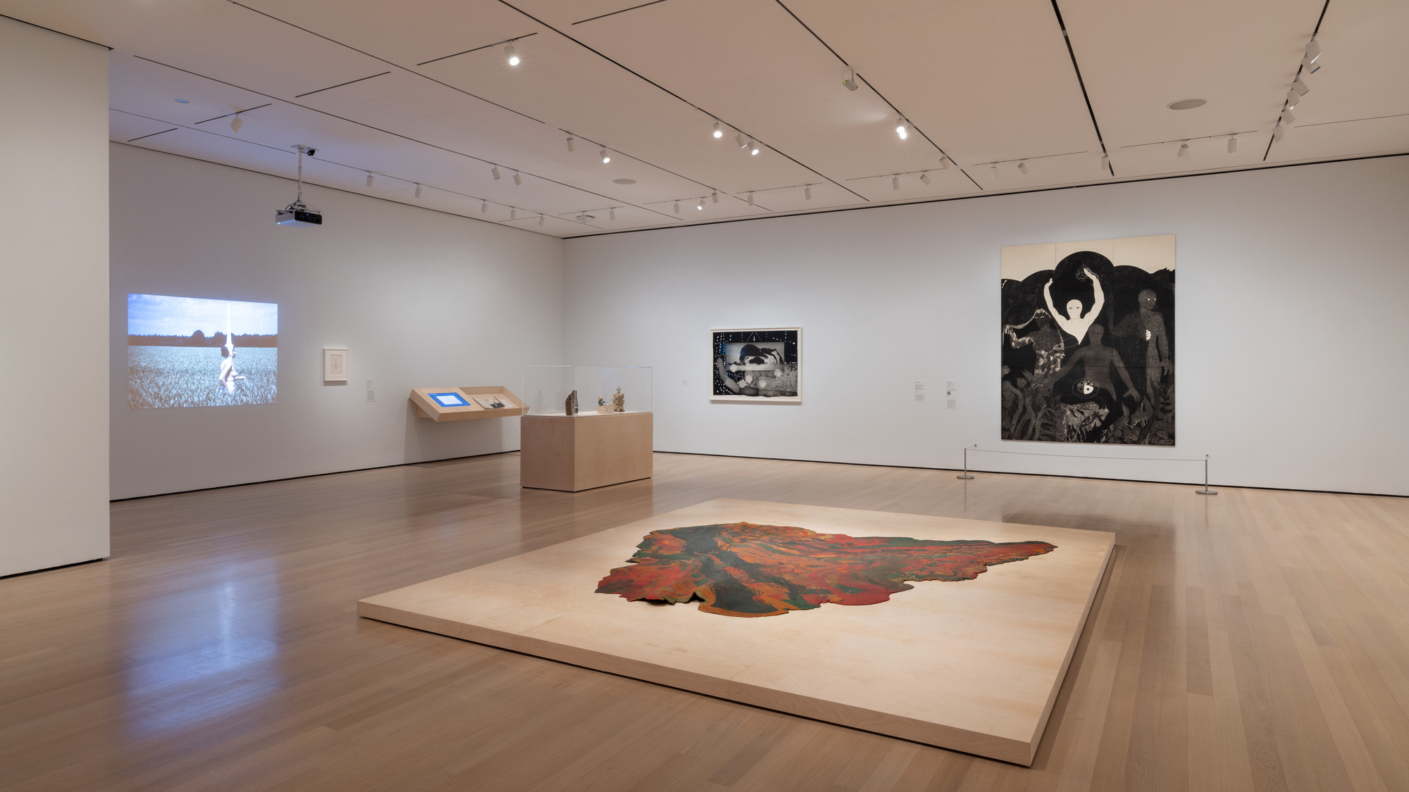Installation view of the exhibition “Vital Signs: Artists and the Body ...