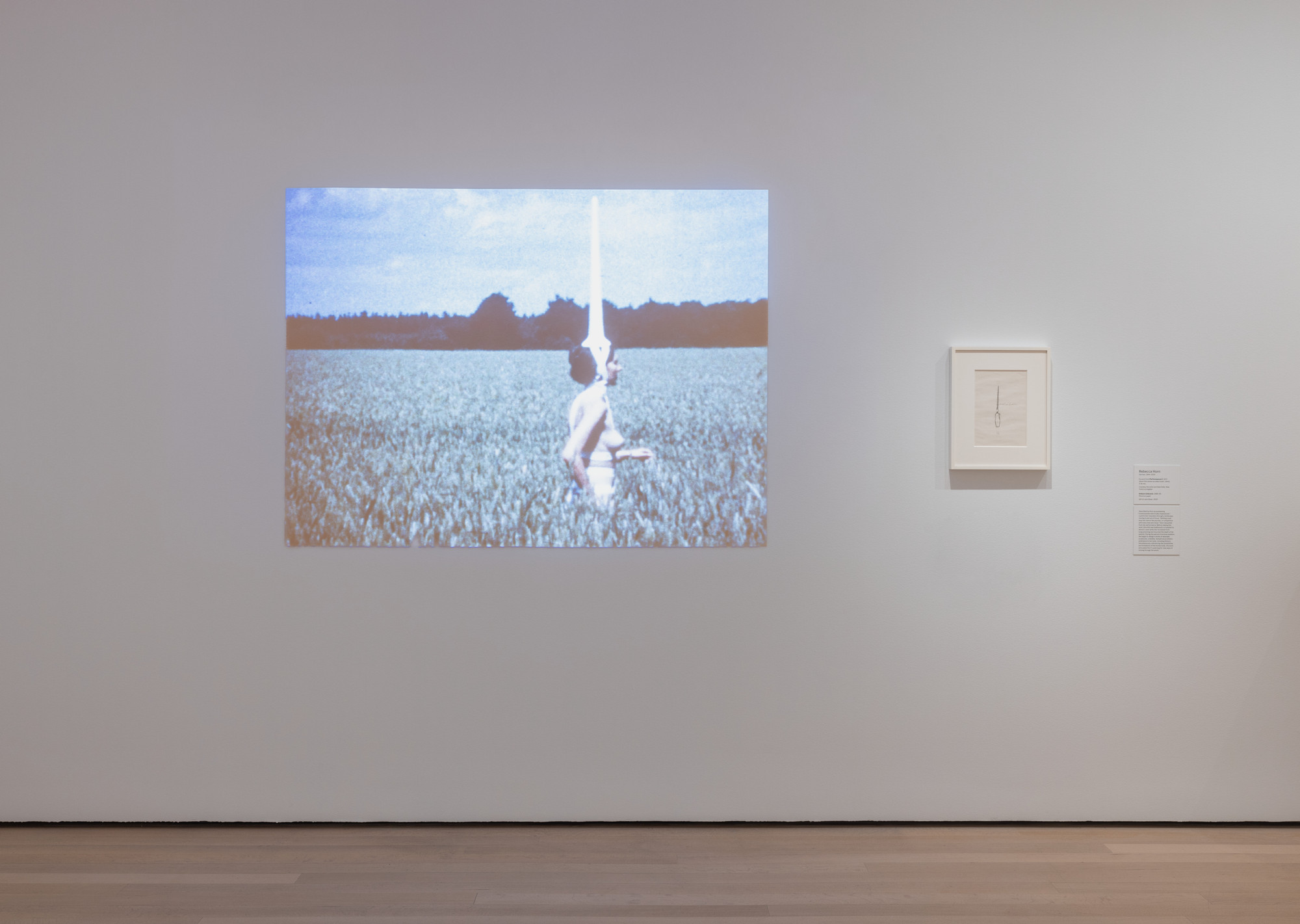 Installation view of the exhibition “Vital Signs: Artists and the Body ...