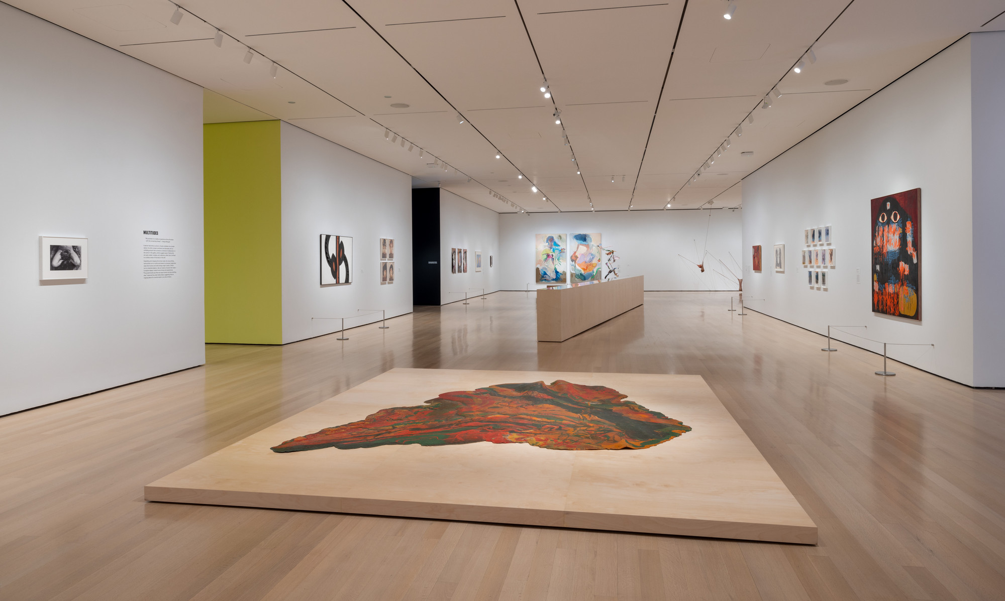 Installation view of the exhibition “Vital Signs: Artists and the Body ...