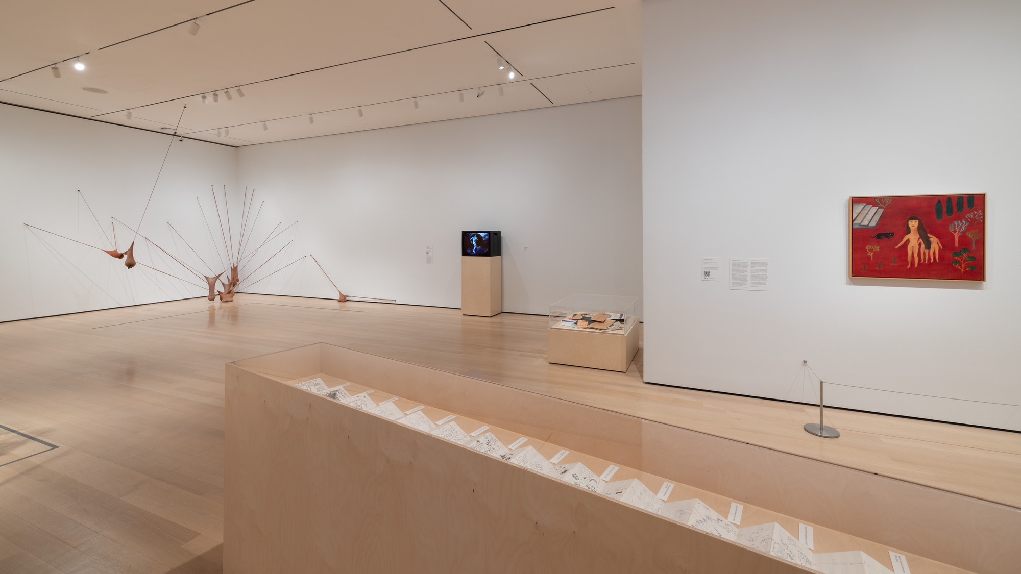Installation view of the exhibition “Vital Signs: Artists and the Body ...