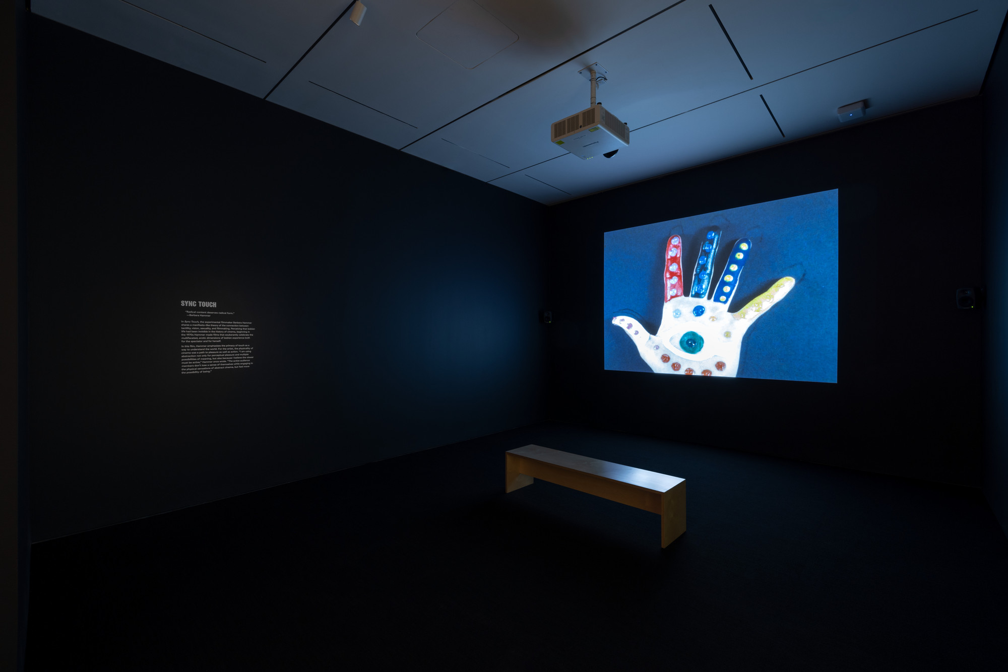 Installation view of the exhibition “Vital Signs: Artists and the Body ...