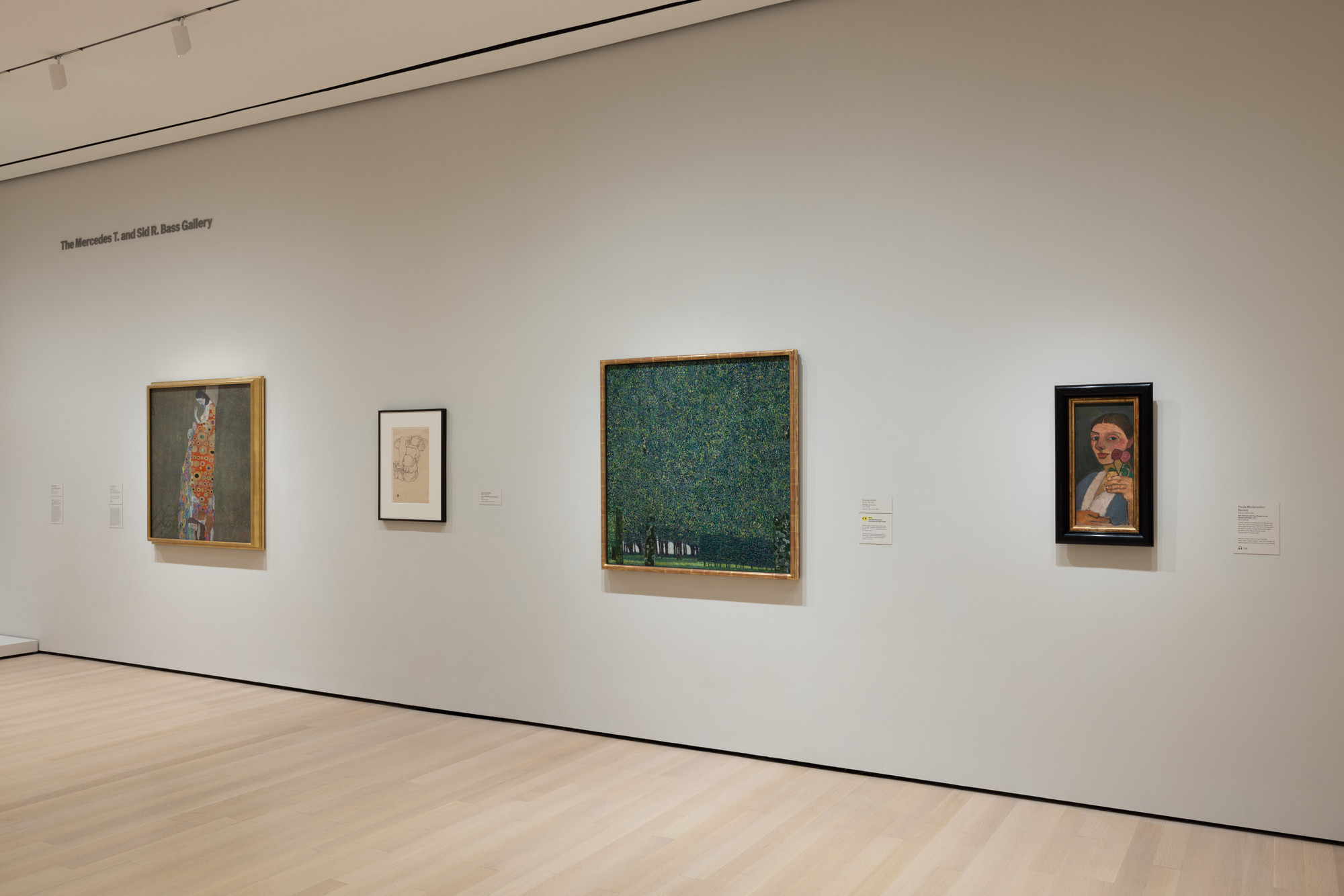 Installation view of the gallery "Vienna Secession" in the exhibition ...