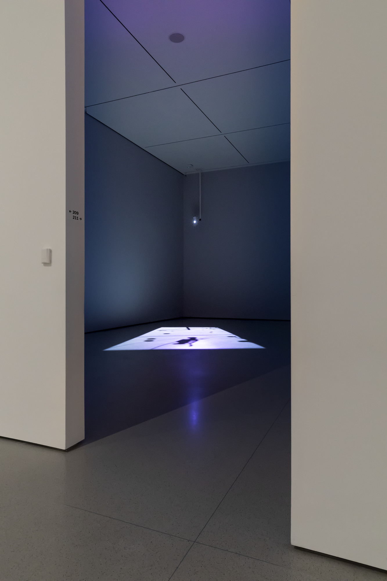 Installation view of the gallery "Paul Chan’s 1st Light" in the ...